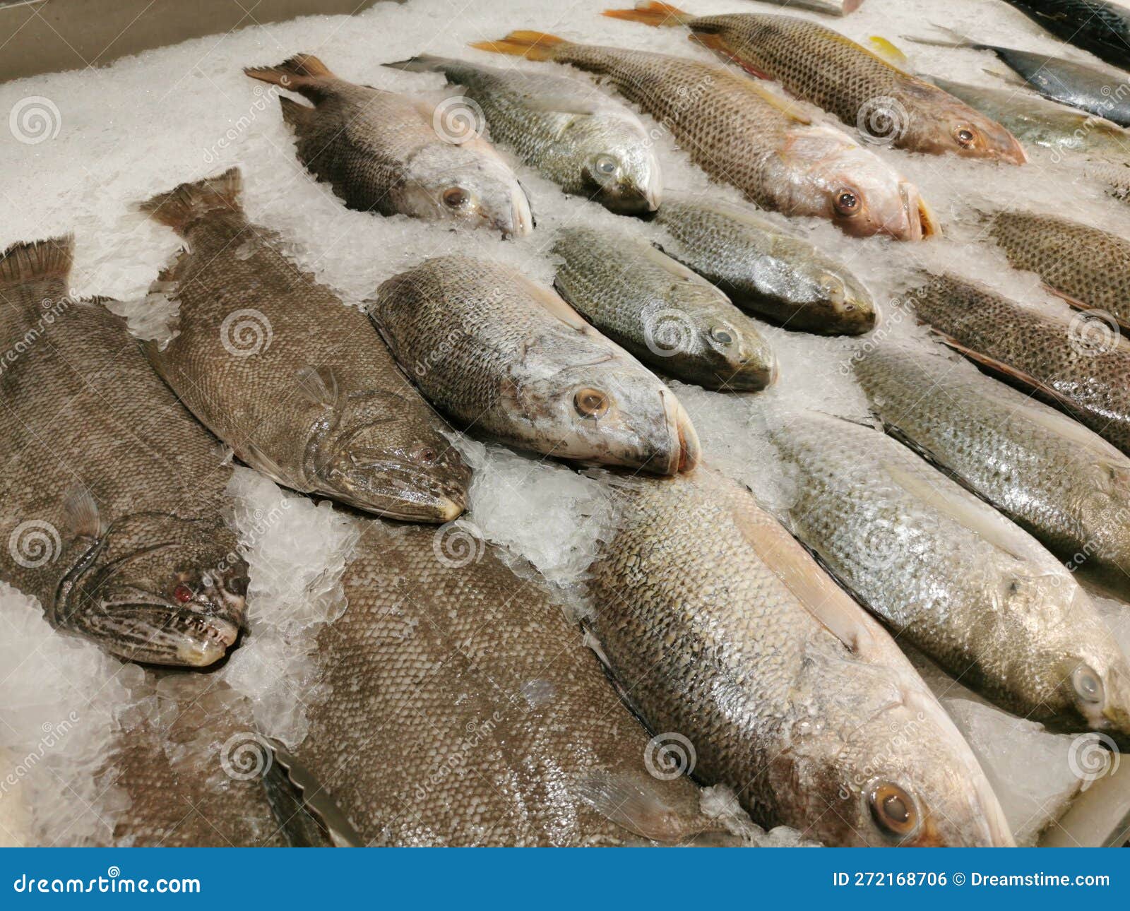 Fish on Ice Snapper Flat Head Stock Photo - Image of food, seafood ...
