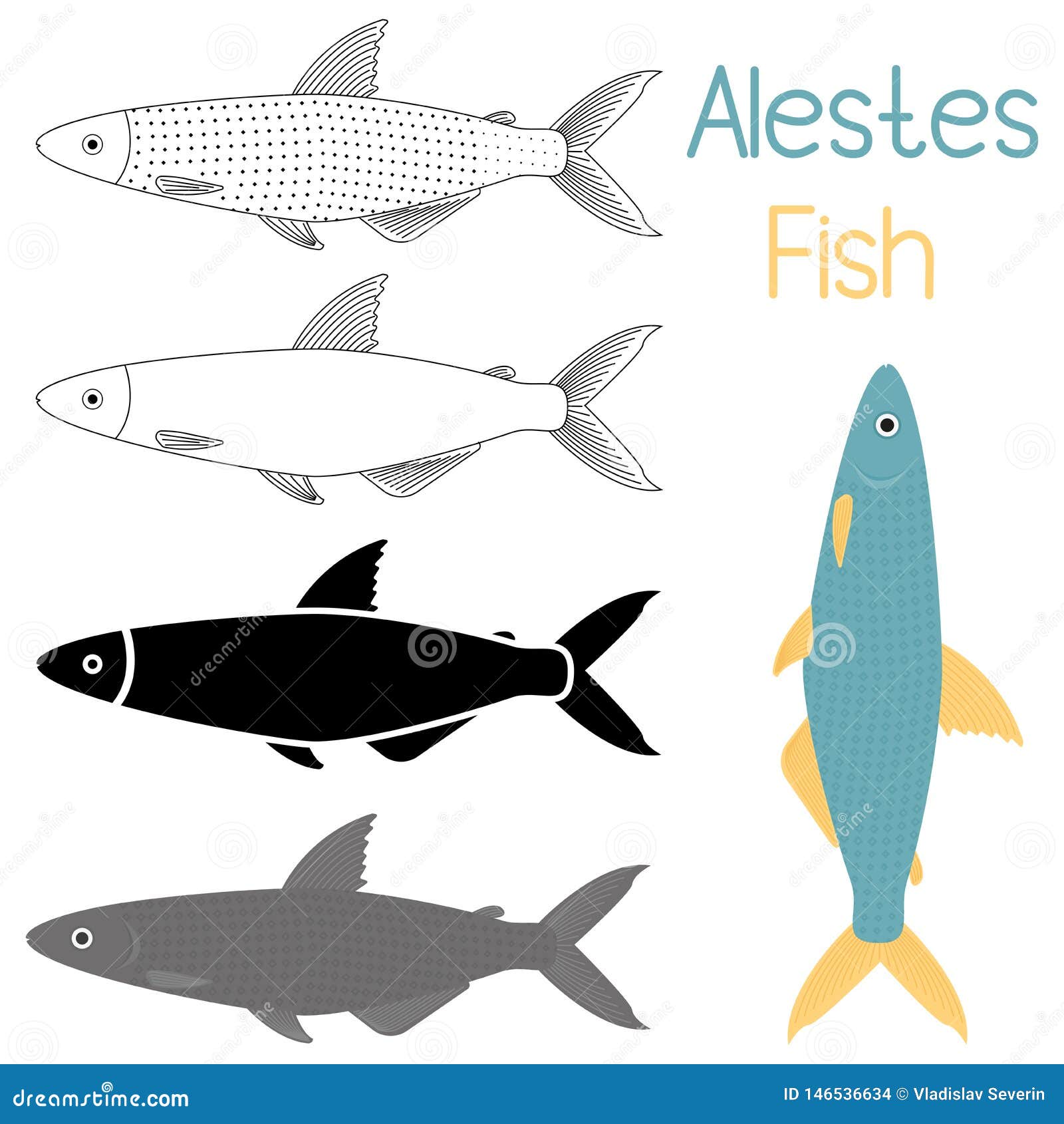 Ansorgii Cartoons, Illustrations & Vector Stock Images - 2 Pictures to ...