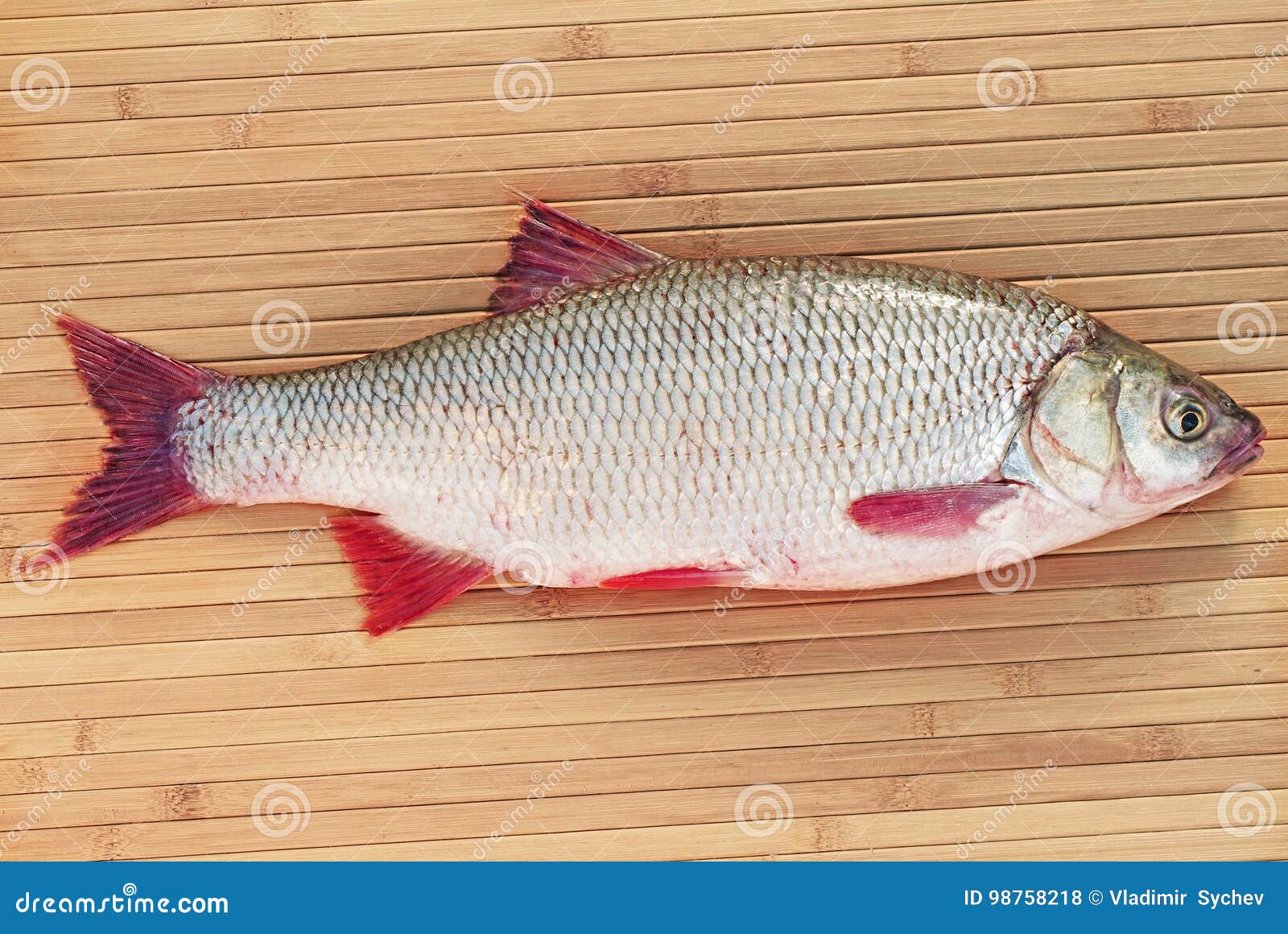 Fish A Ide Stock Photo | CartoonDealer.com #98758218