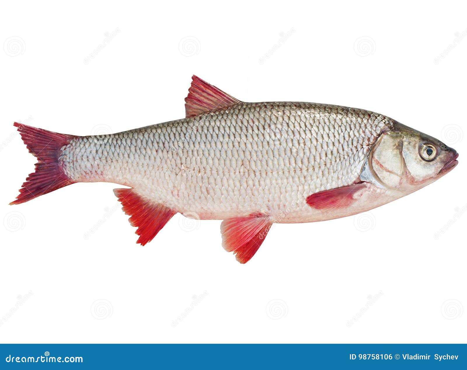 Ide Cartoons, Illustrations & Vector Stock Images - 1018 Pictures to ...