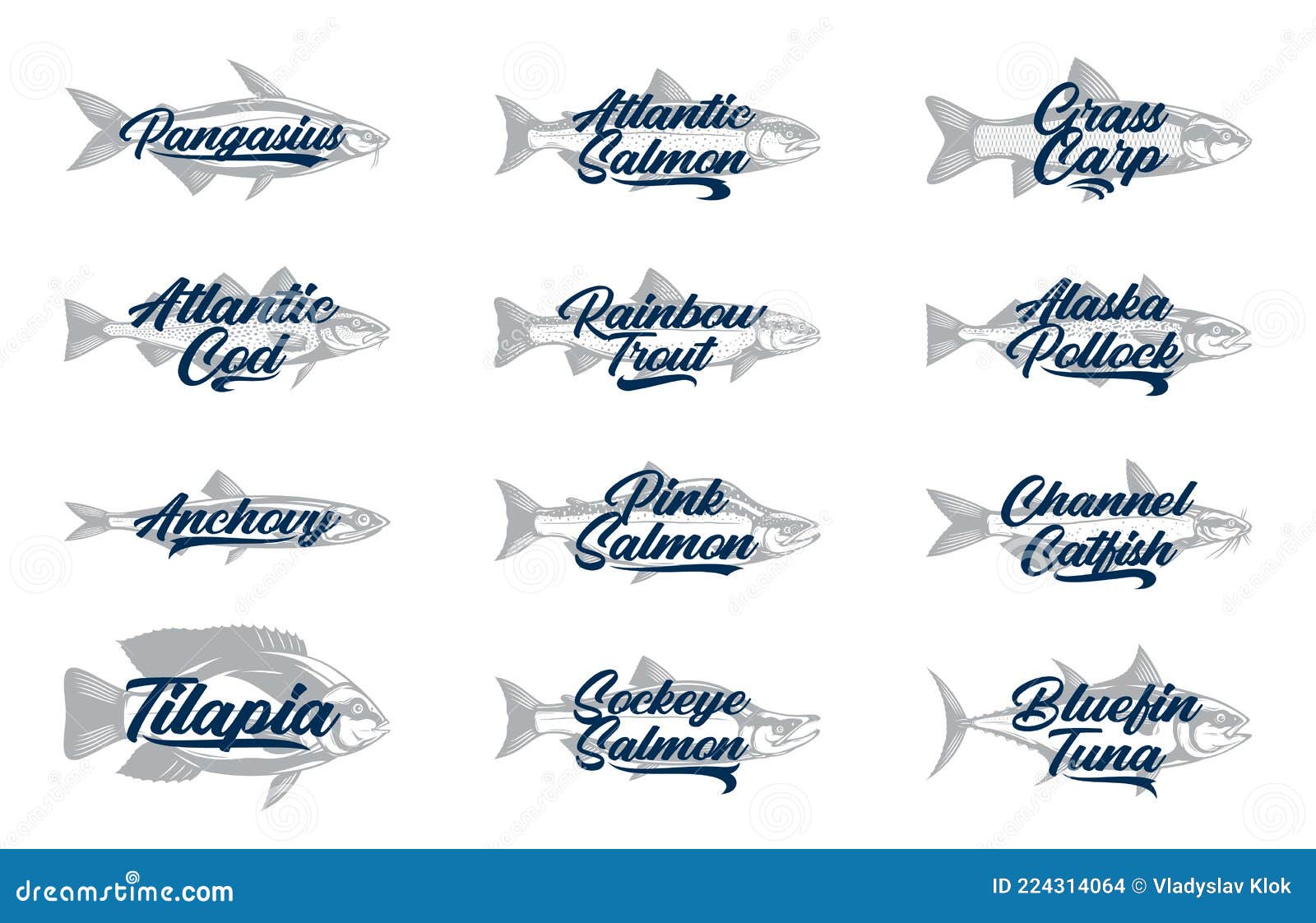 Fish Illustartion Collection, Fish Label Templates Stock Vector ...
