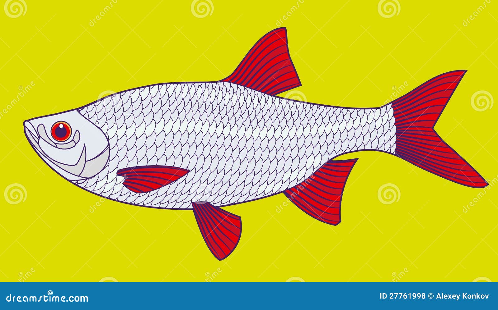 Fish illustration stock illustration. Illustration of fish - 27761998