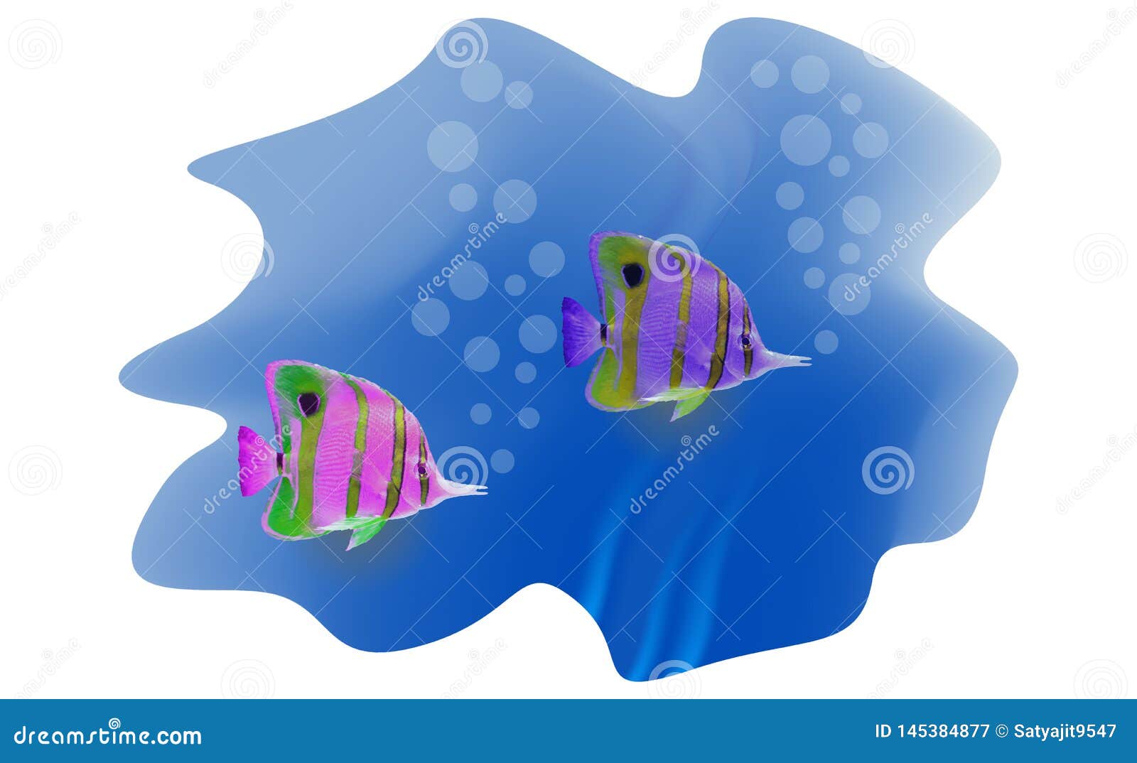 Fish. Illustration of Two Fish in the Ocean Stock Vector - Illustration ...