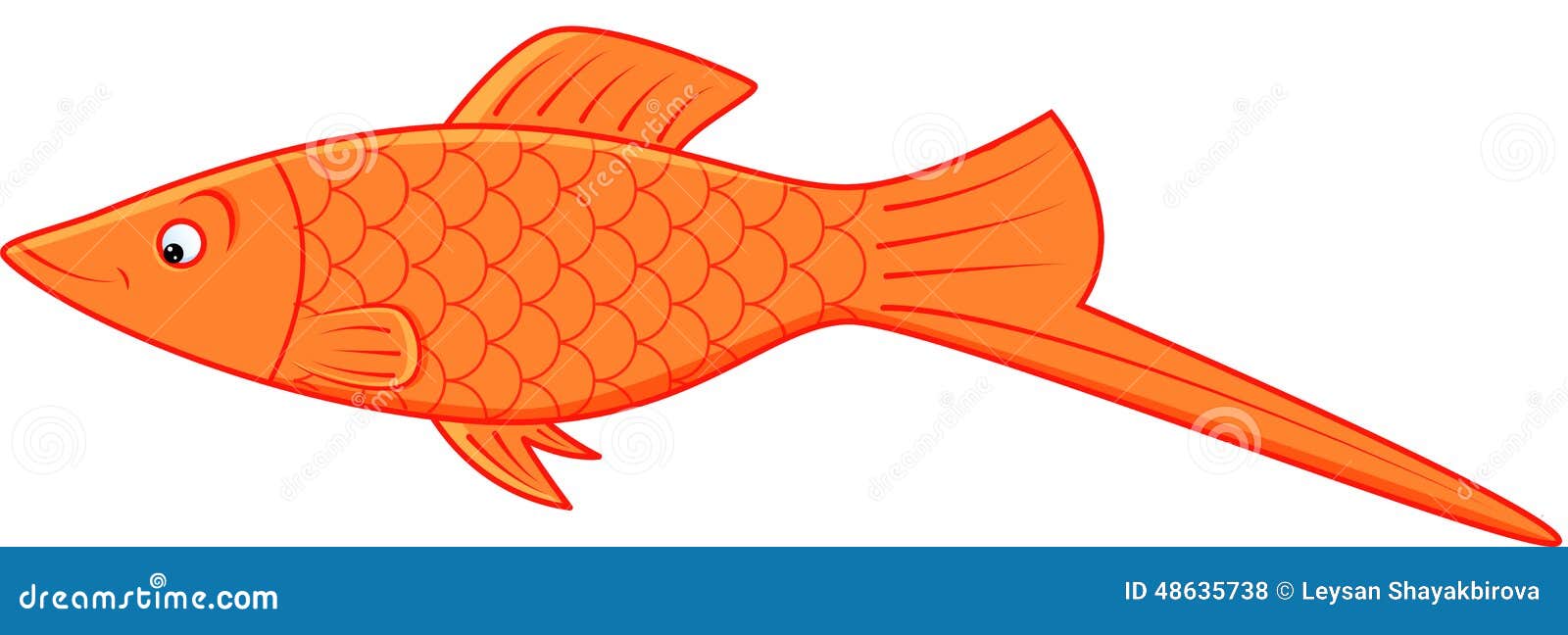 Platy Stock Illustrations – 67 Platy Stock Illustrations, Vectors ...