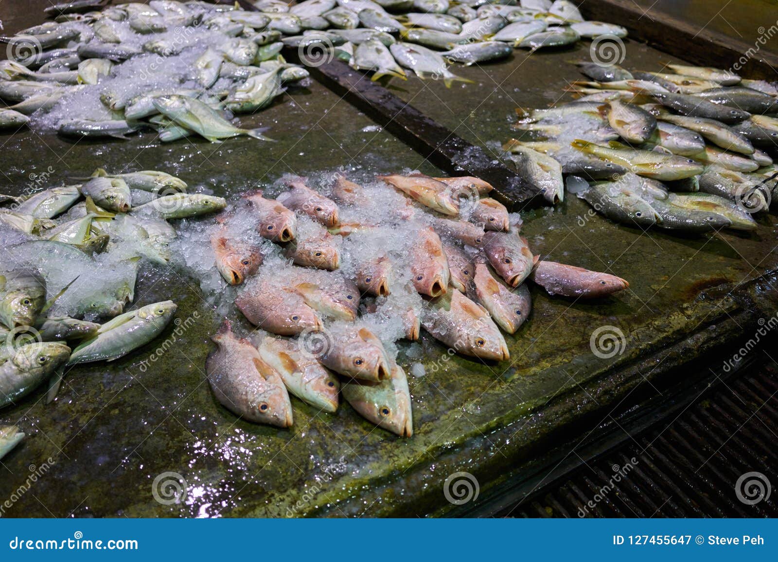 Fish Import Market in Singapore Editorial Photography - Image of white ...