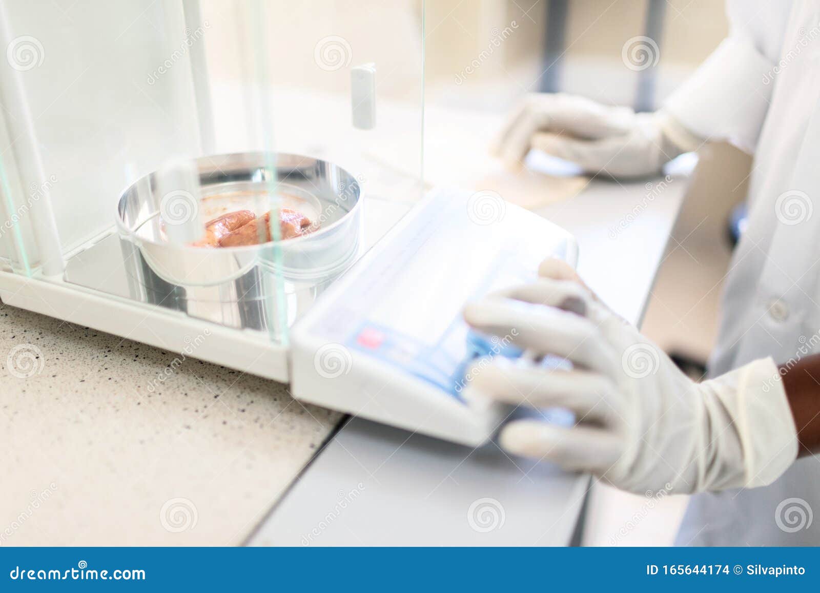 Fish Interior To Be Tested in Laboratory, Quality Test Stock Photo ...