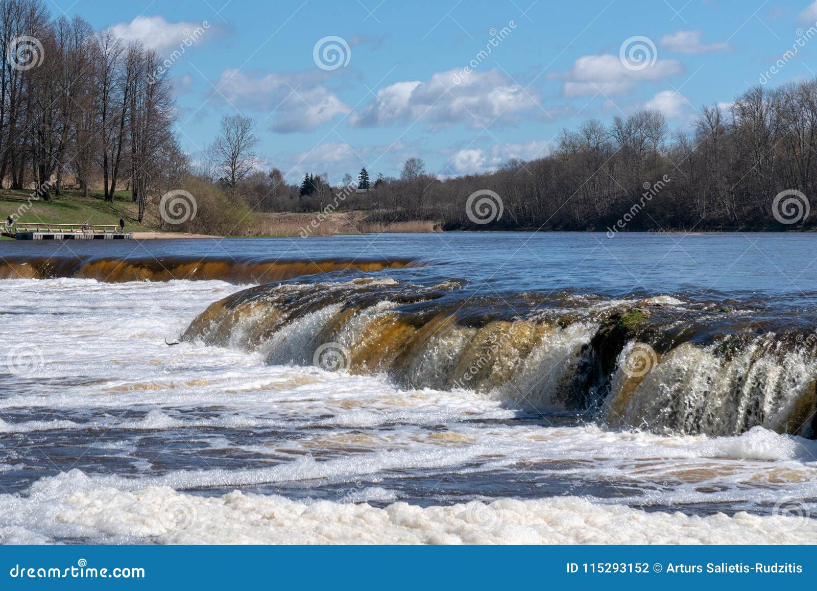 Fish Jumping Up in Waterfall and Going Upstream for Spawning Stock ...