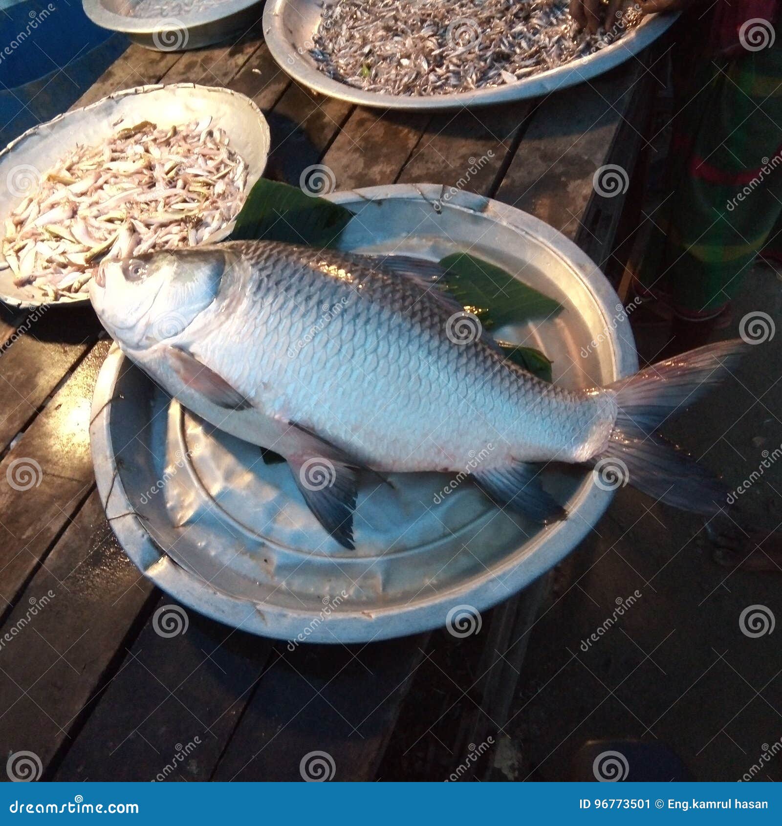 Fish stock image. Image of katal, food, good, fish - 96773501