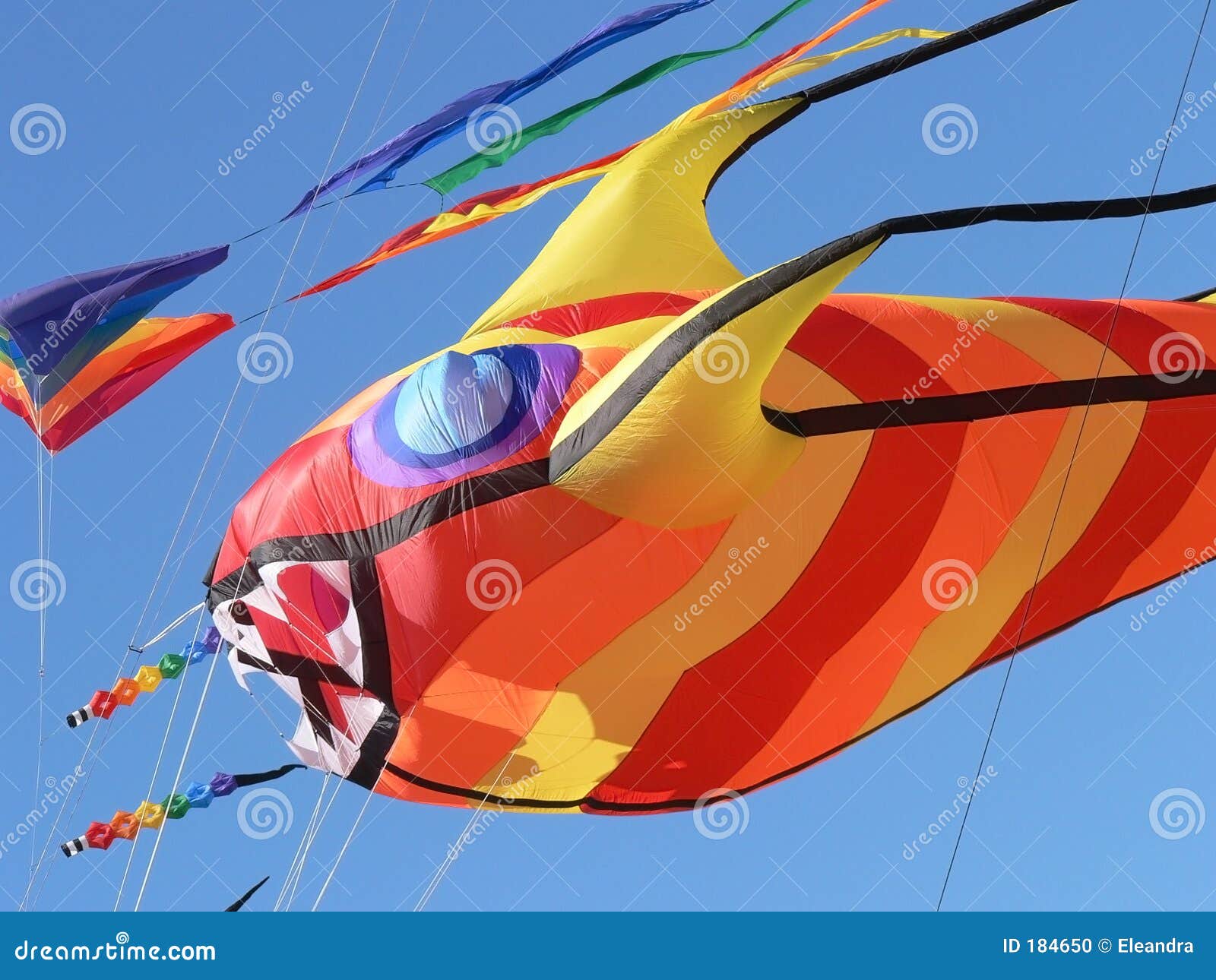 Fish Kite stock photo. Image of love, play, active, object - 184650