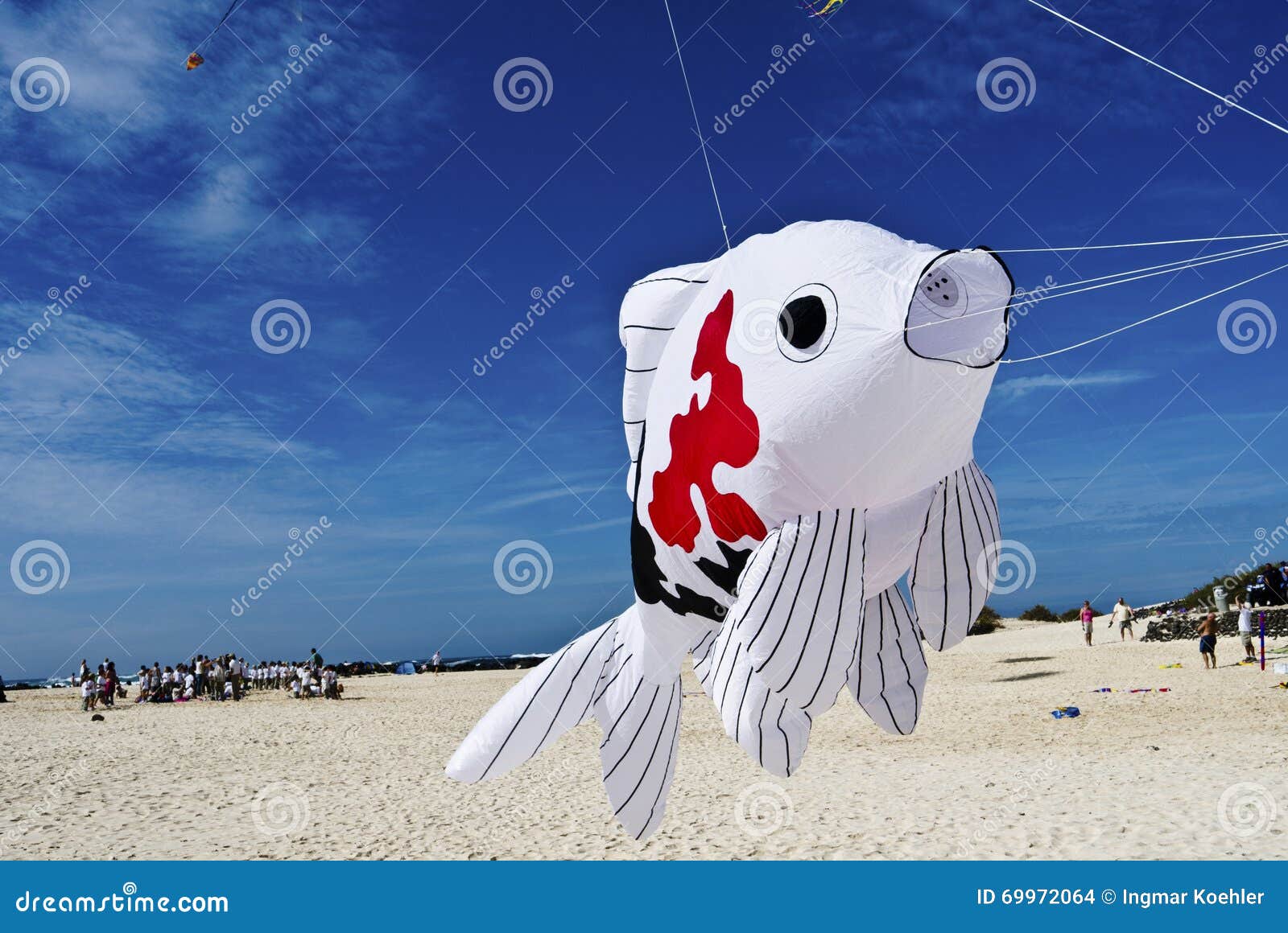 Fish Kite Taking Off for Blue Skies at the Beach. Stock Photo - Image ...