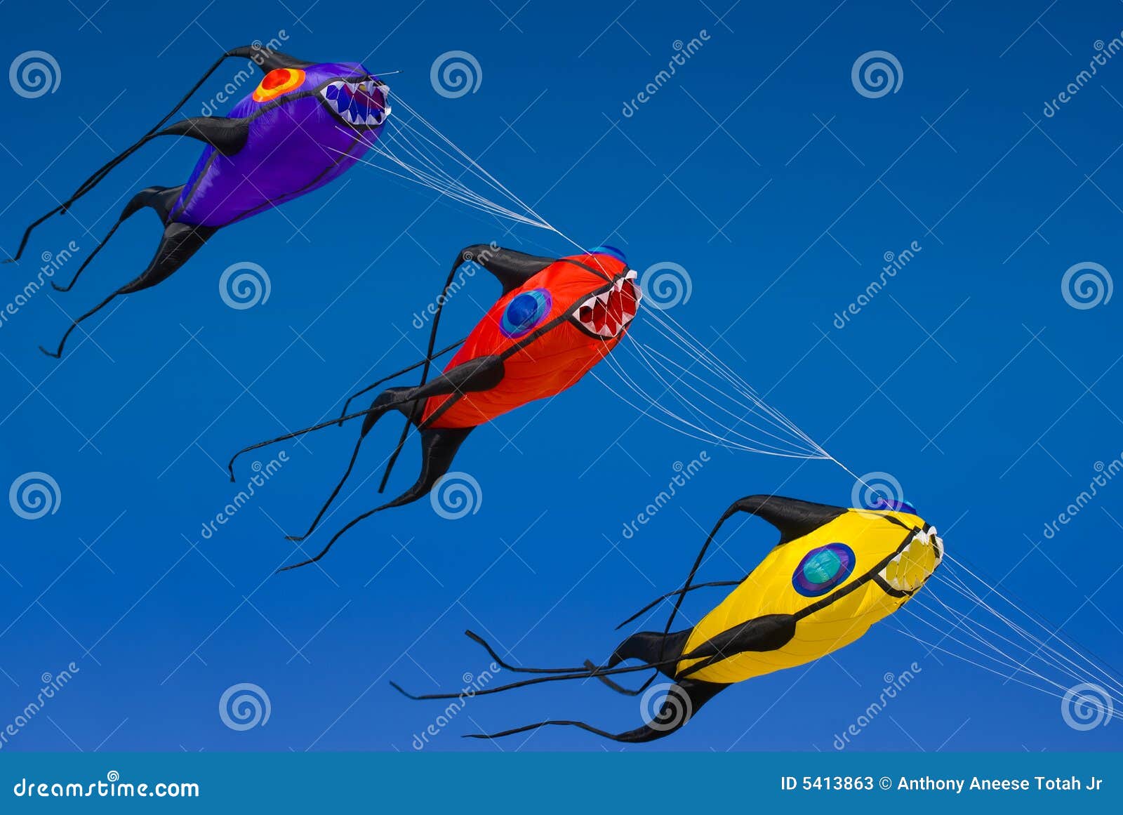 Fish Kites stock image. Image of kite, rainbow, people - 5413863