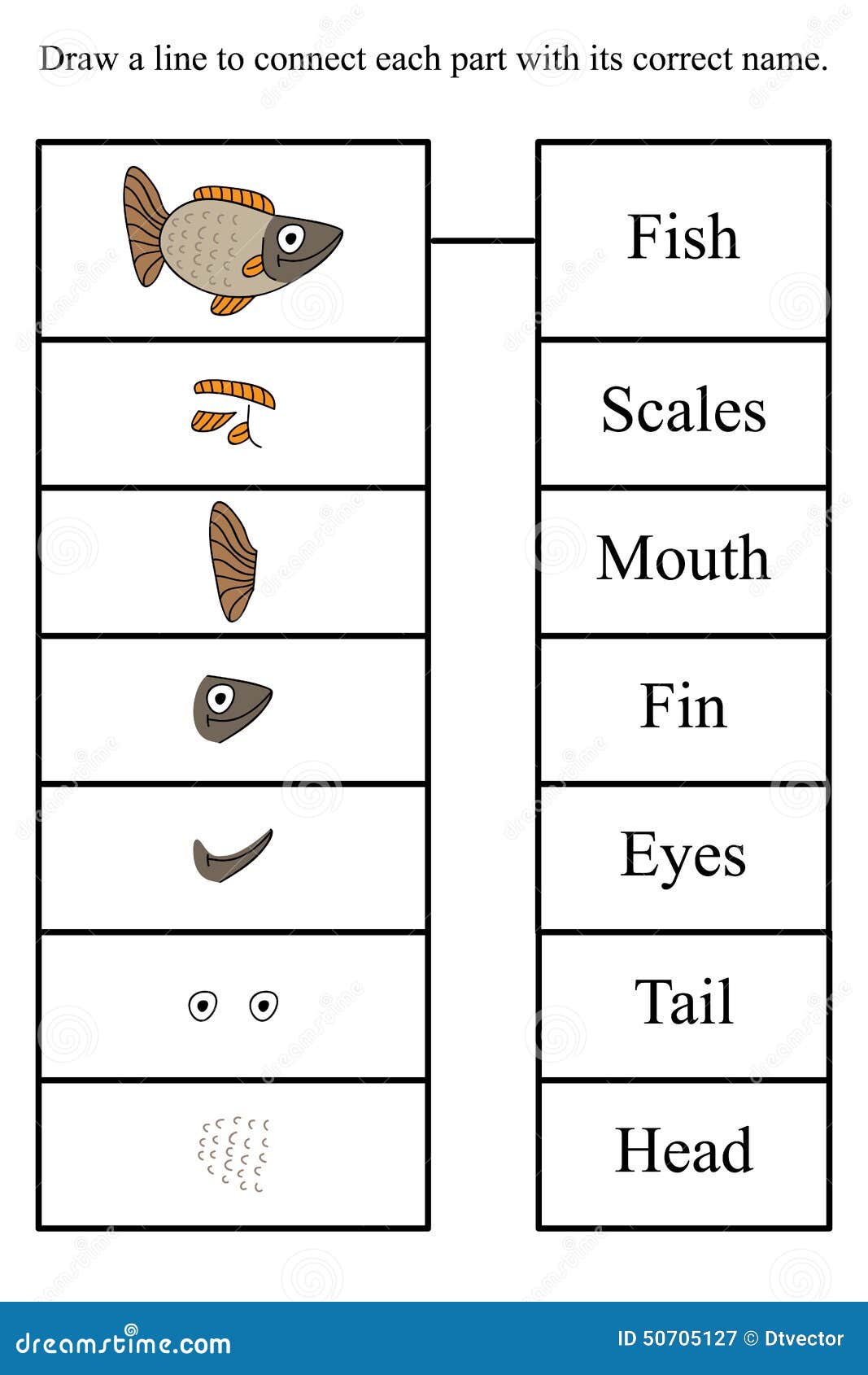3d Illustration Of Know The Signs Of Gallbladder Anatomy Stock Photo ...