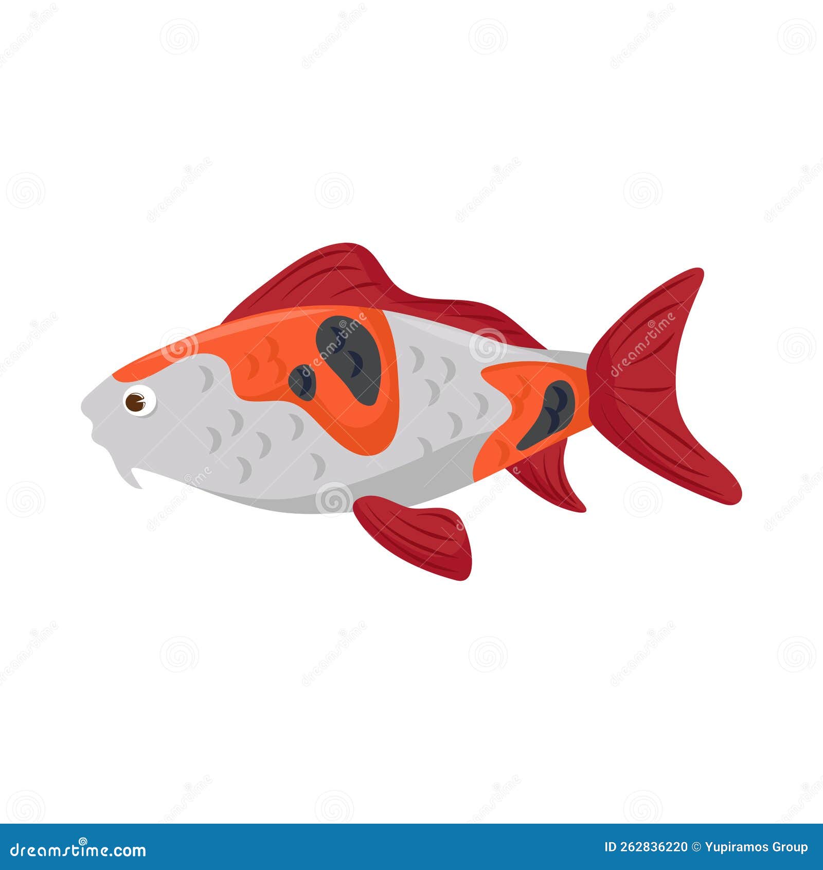 Fish koi icon stock vector. Illustration of isolated - 262836220