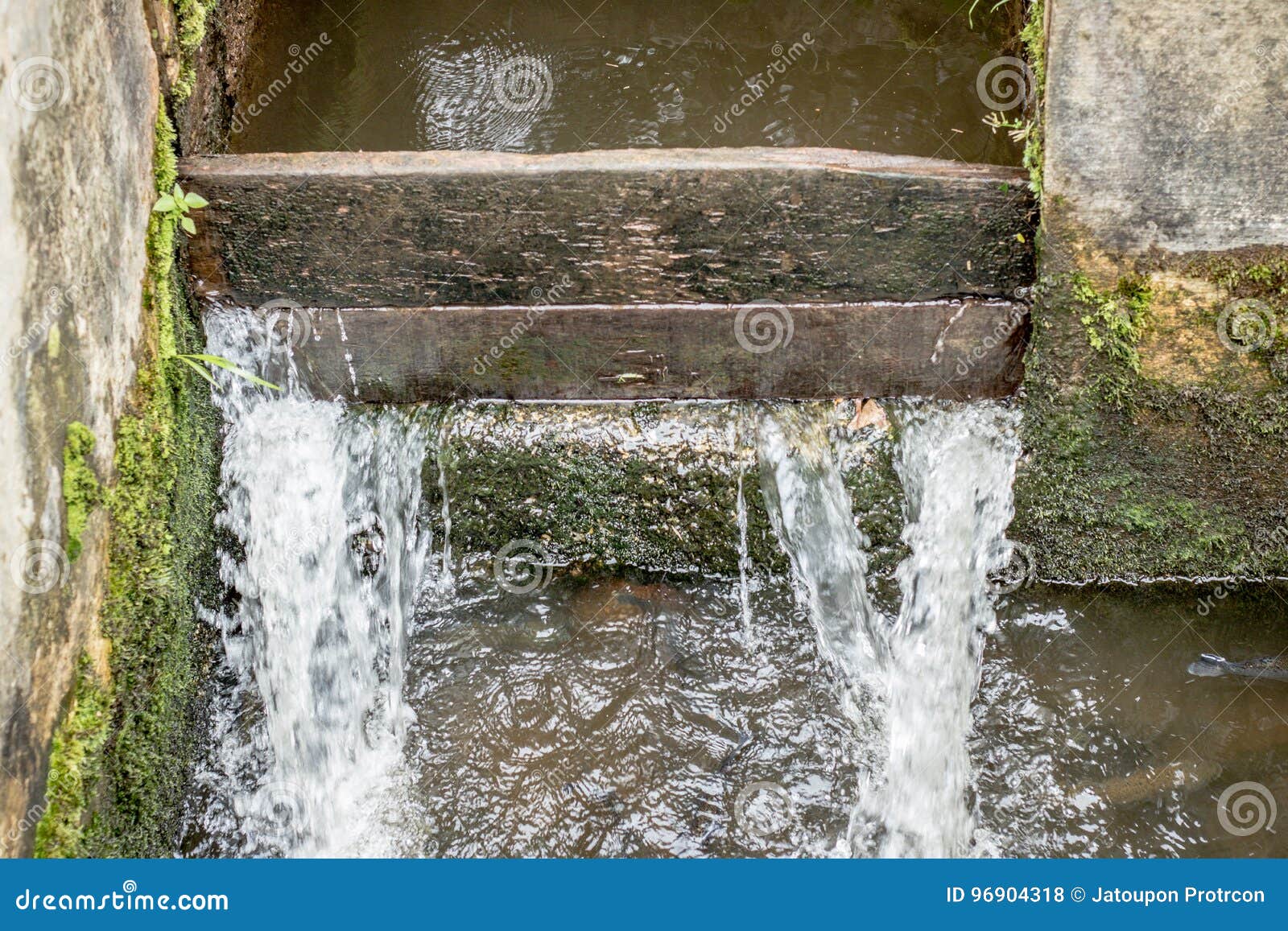Fish ladder in pond editorial stock photo. Image of protect - 96904318