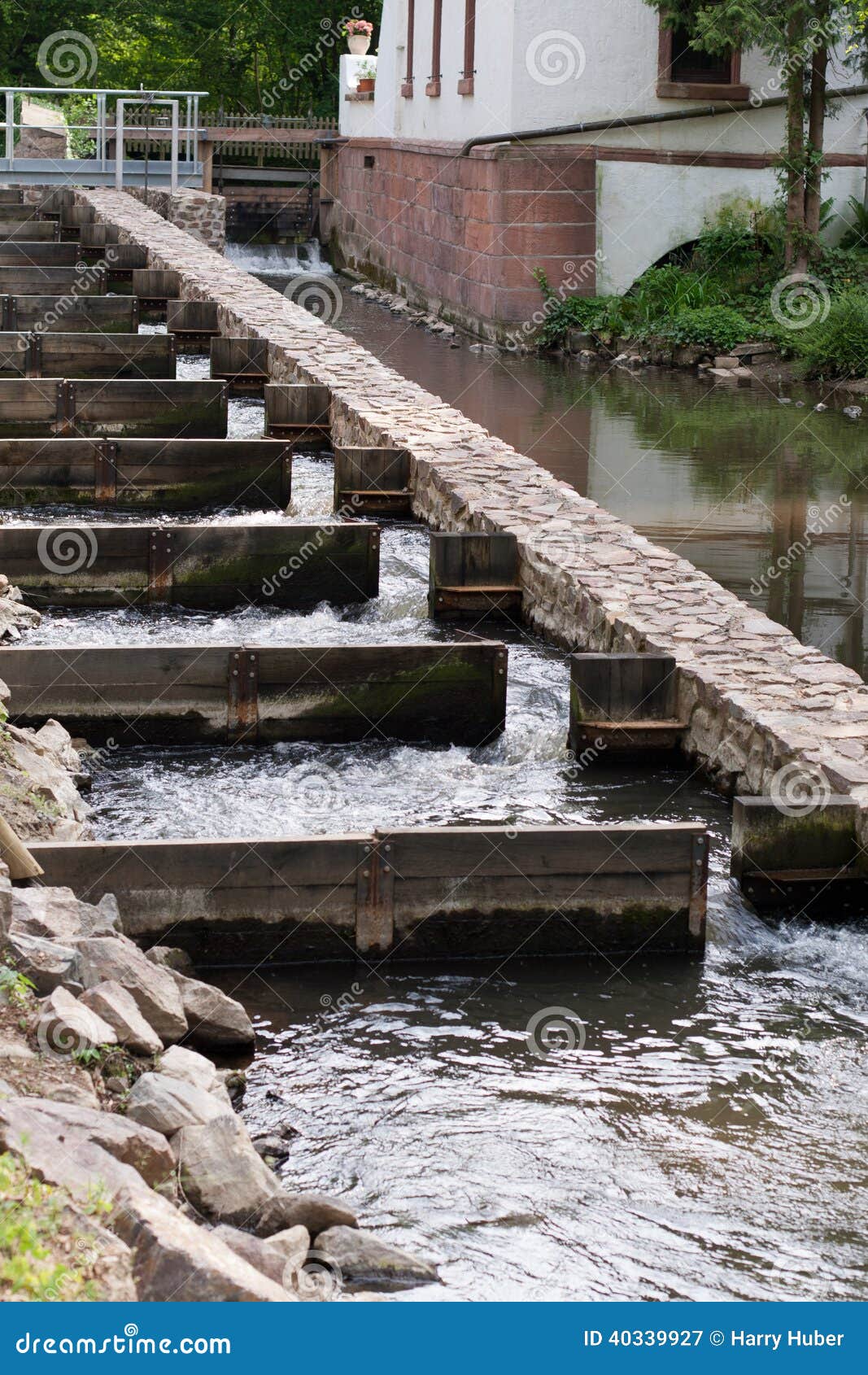 Fish ladder stock image. Image of nature, river, grass - 40339927