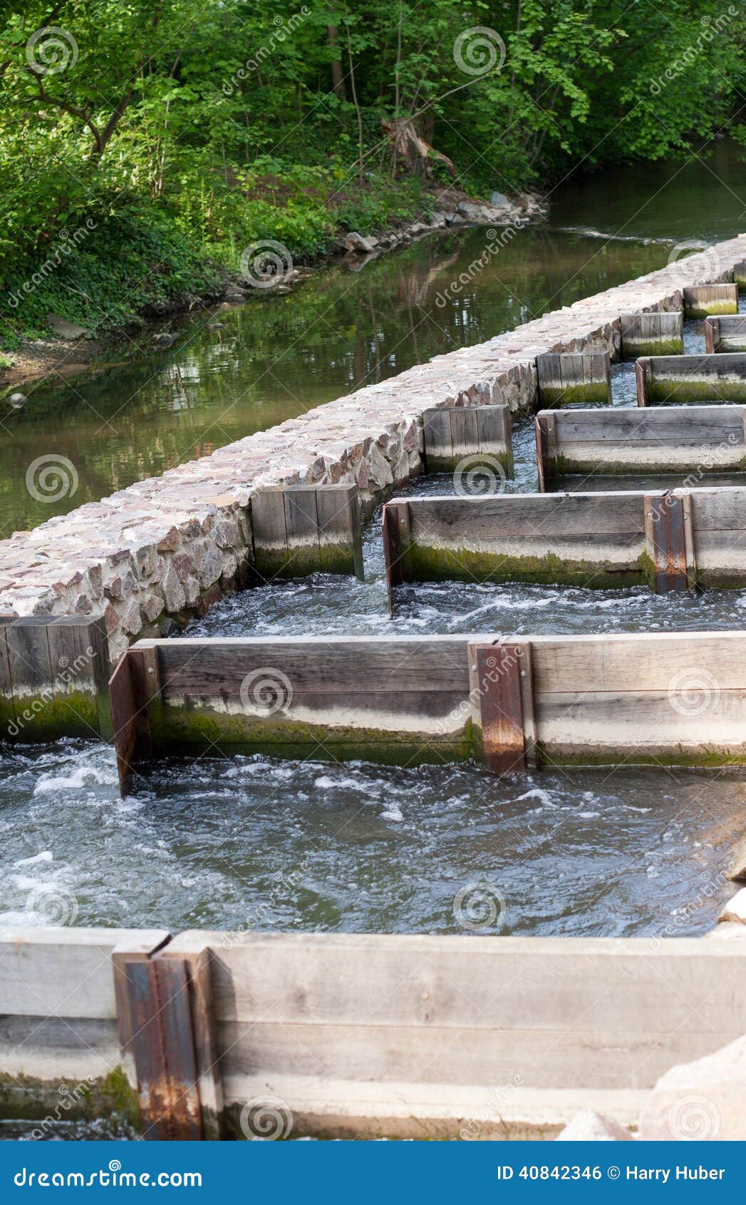 Fish ladder stock photo. Image of grass, nature, ladder - 40842346