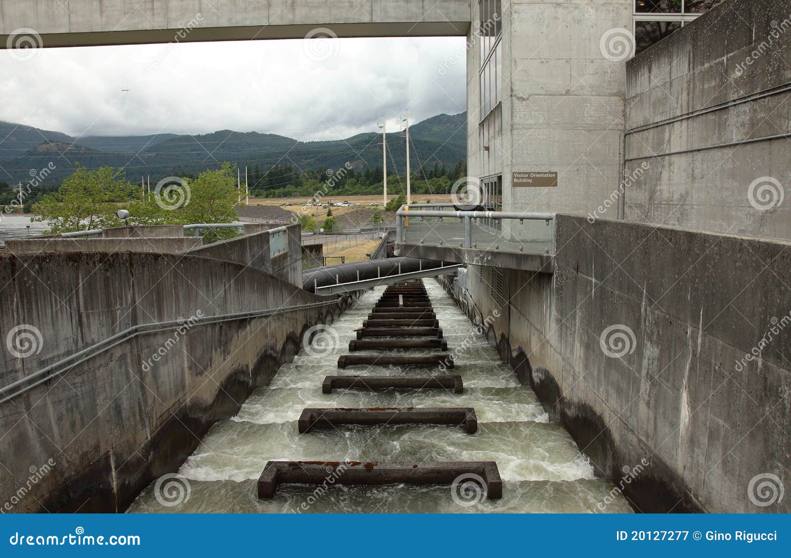 Fish Ladders On Dams