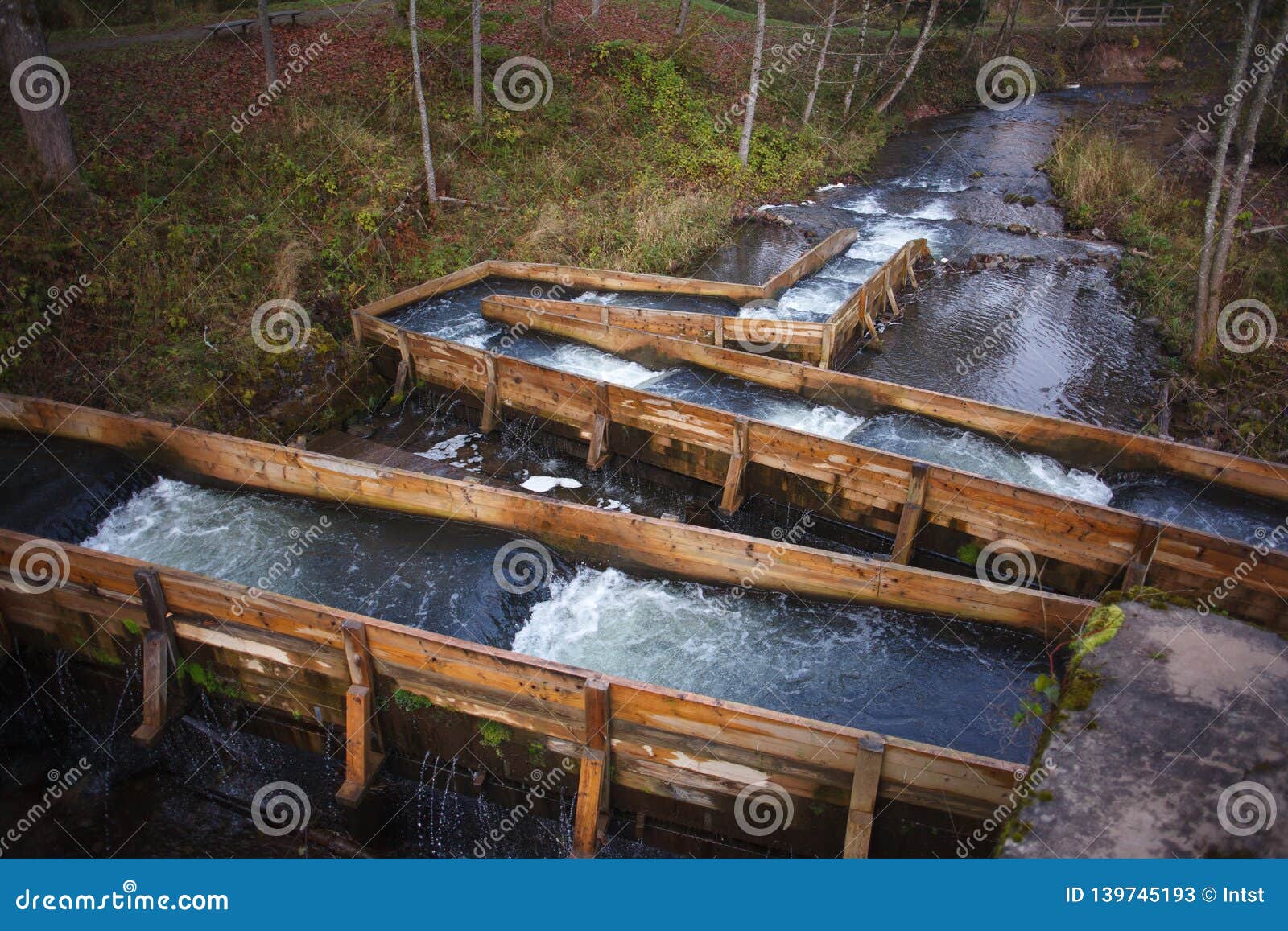 Fish Ladders on Small River Stock Image - Image of migration, safe ...