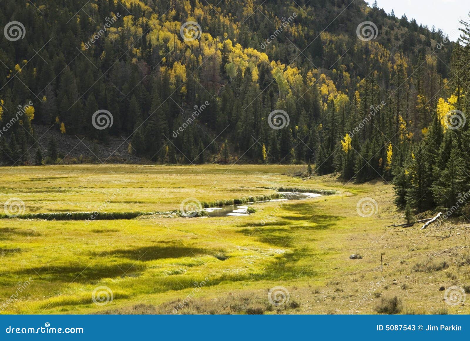 Fish Lake Trail Hike, Whitehorse, Yukon Fall Scenery Royalty-Free Stock ...