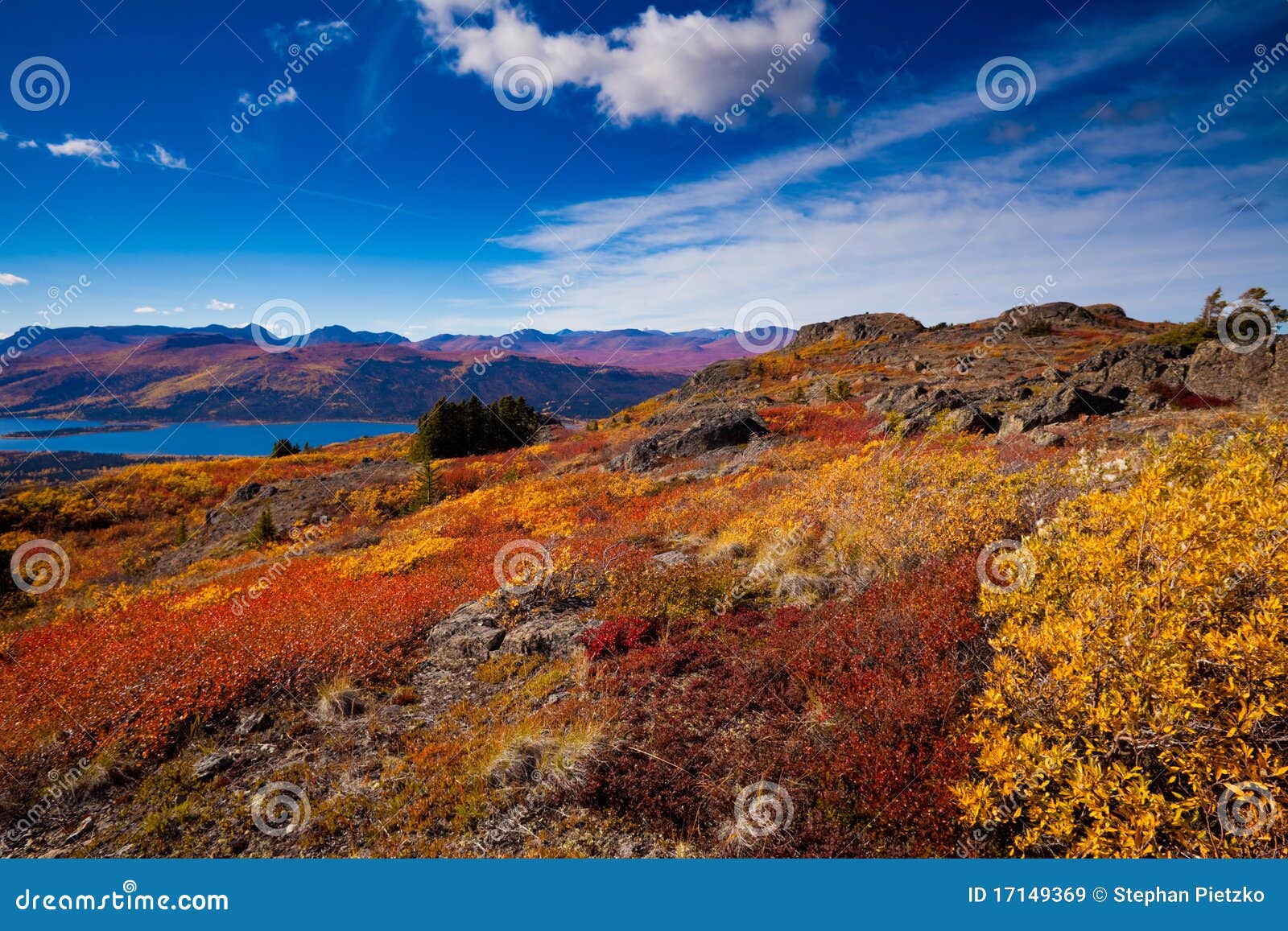 Fish Lake, Yukon Territory, Canada Stock Image - Image of outdoor ...