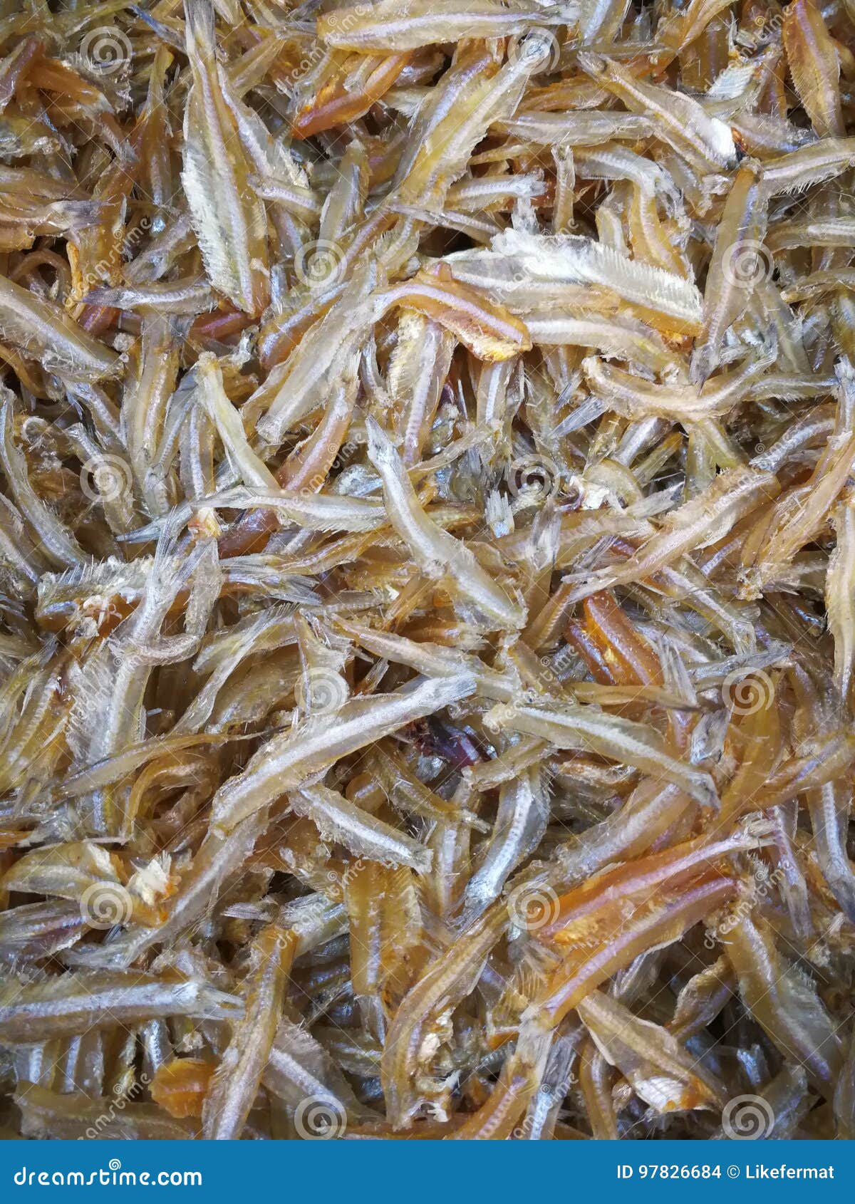 Fish larvae stock photo. Image of larvae, salted, fish - 97826684