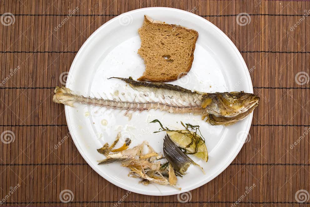 Fish leftovers stock image. Image of seabass, backbone - 28554069