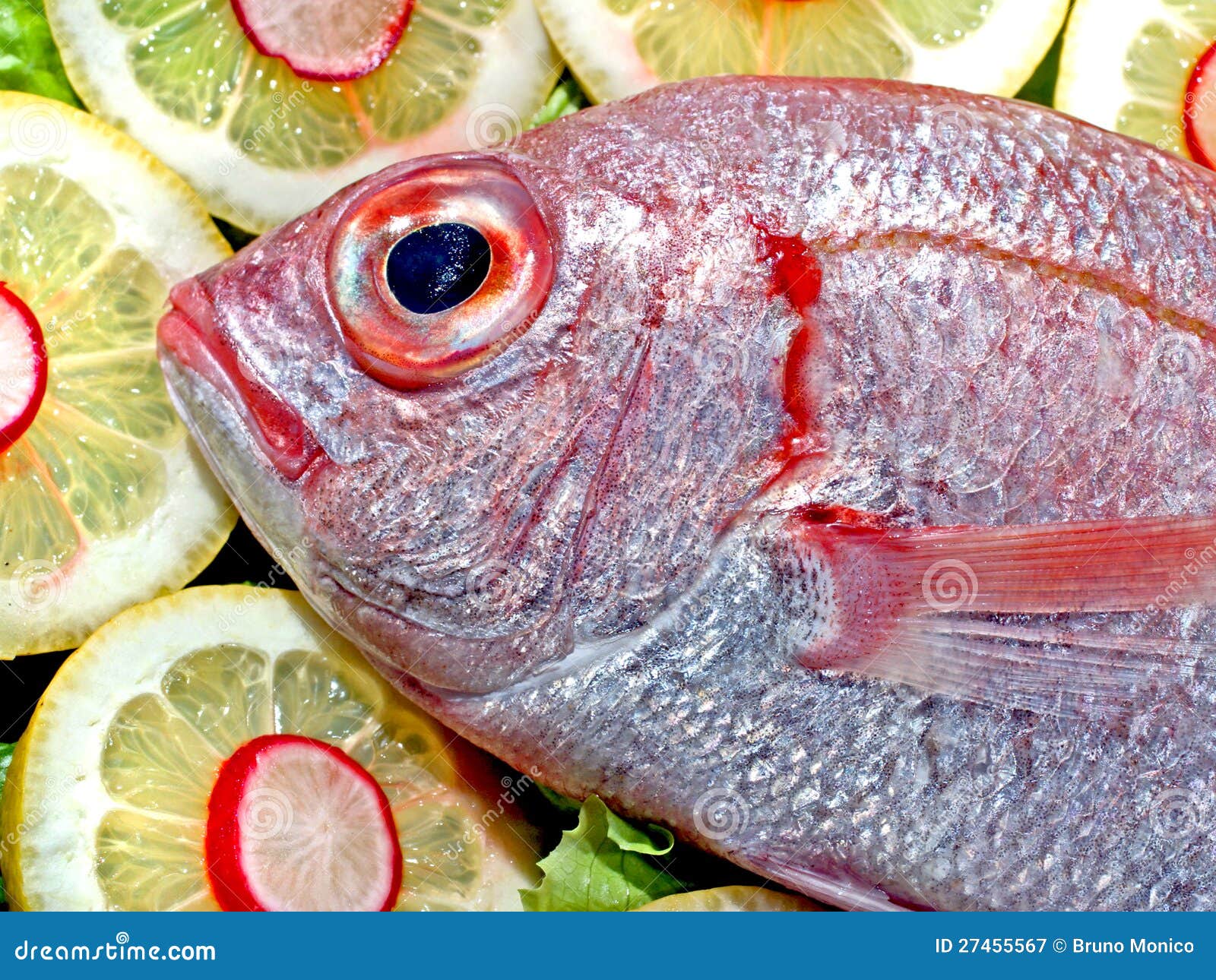 Fish with lemon stock image. Image of seafood, citrus - 27455567