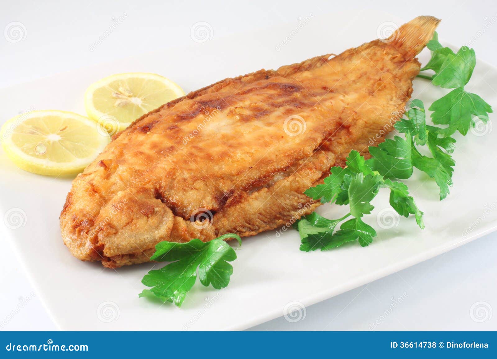 Fish lemon sole stock photo. Image of food, delicious - 36614738
