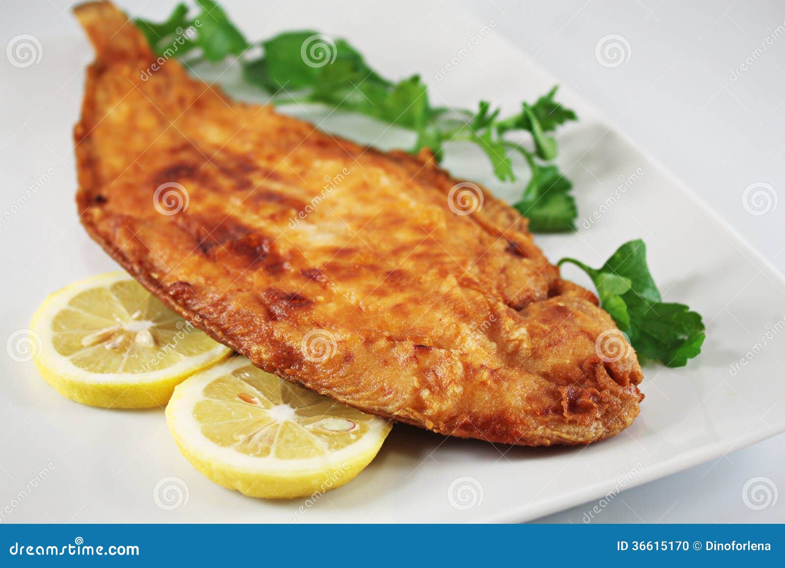 Fish lemon sole stock photo. Image of fried, garnish - 36615170