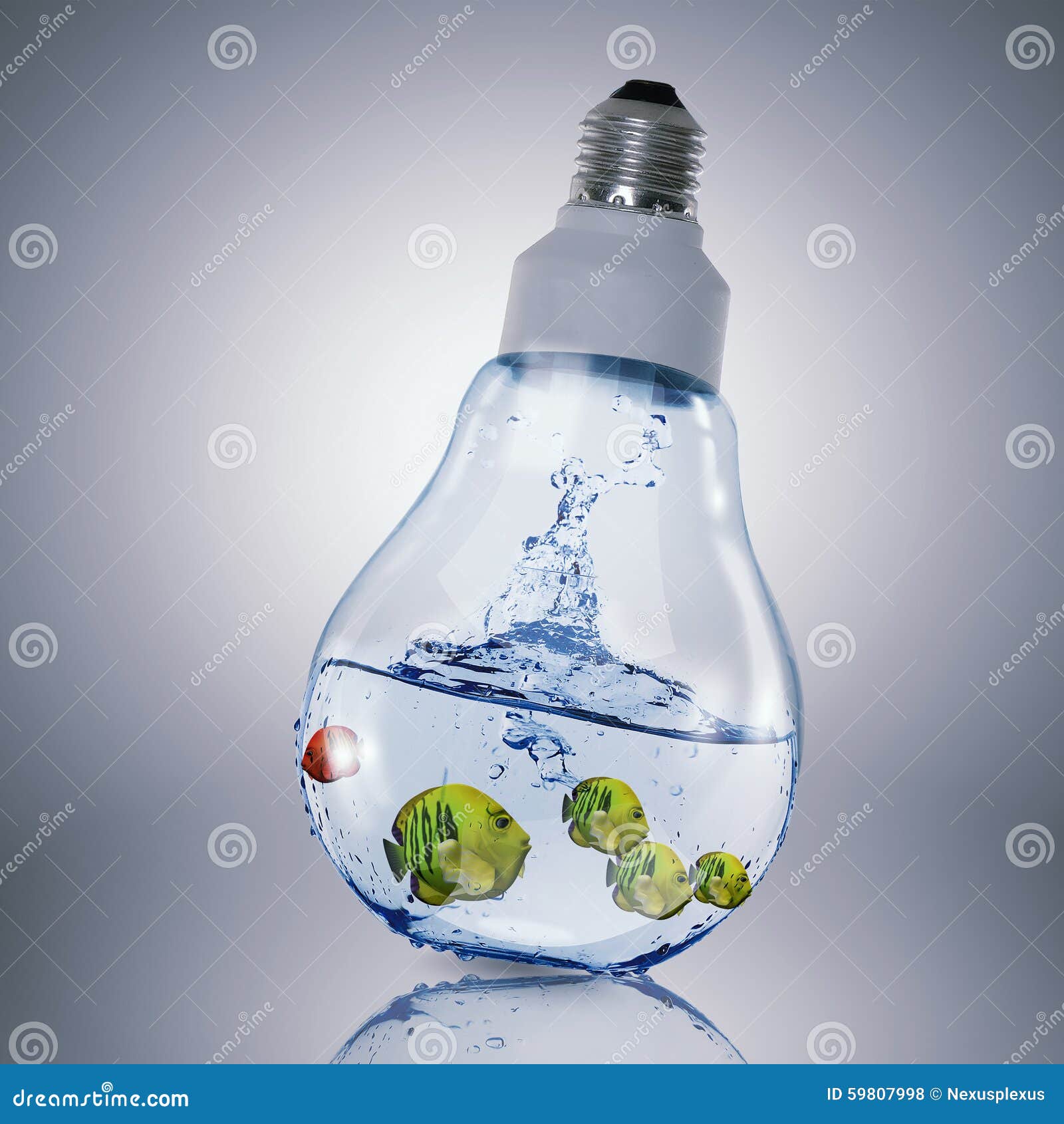Fish in light bulb stock photo. Image of glass, exotic - 59807998