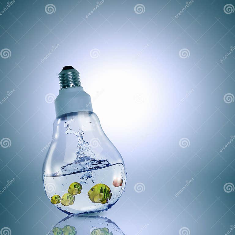 Fish in light bulb stock image. Image of aquarium, electric - 59993351