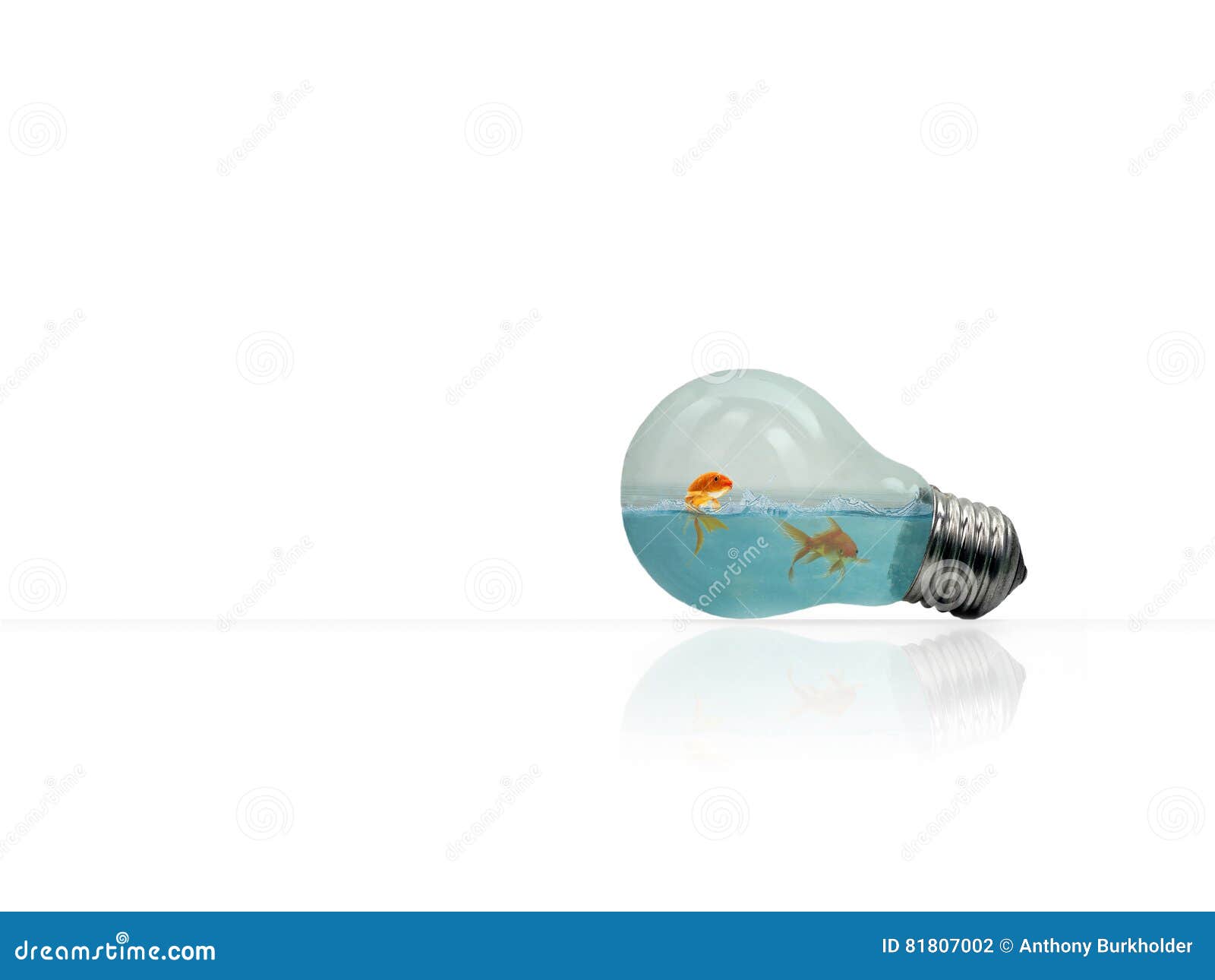 Fish in a light bulb stock illustration. Illustration of light - 81807002
