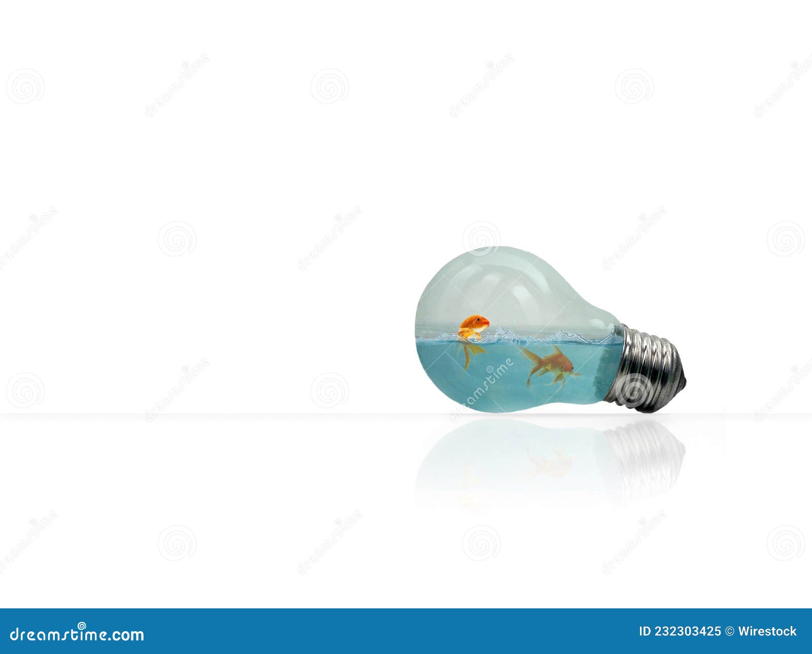 Fish in a light bulb stock image. Image of blue, intelligence - 232303425