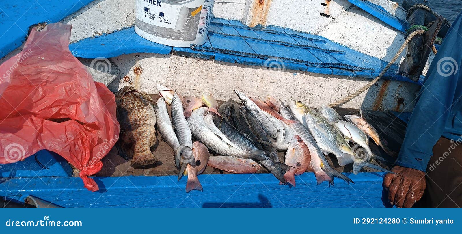 Fish On Line Stock Photography | CartoonDealer.com #29292758