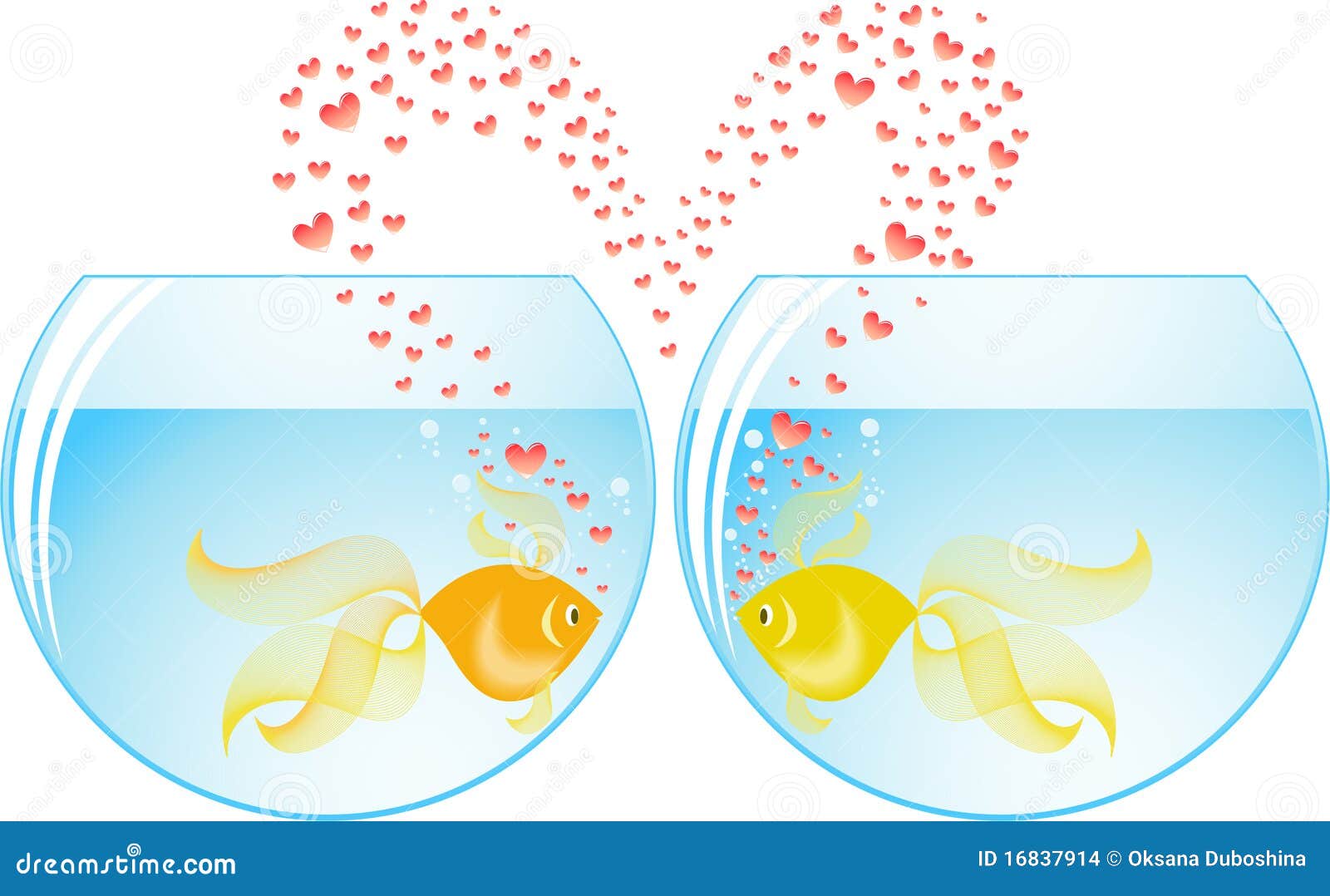 Fish lovers stock vector. Illustration of clear, goldfish - 16837914