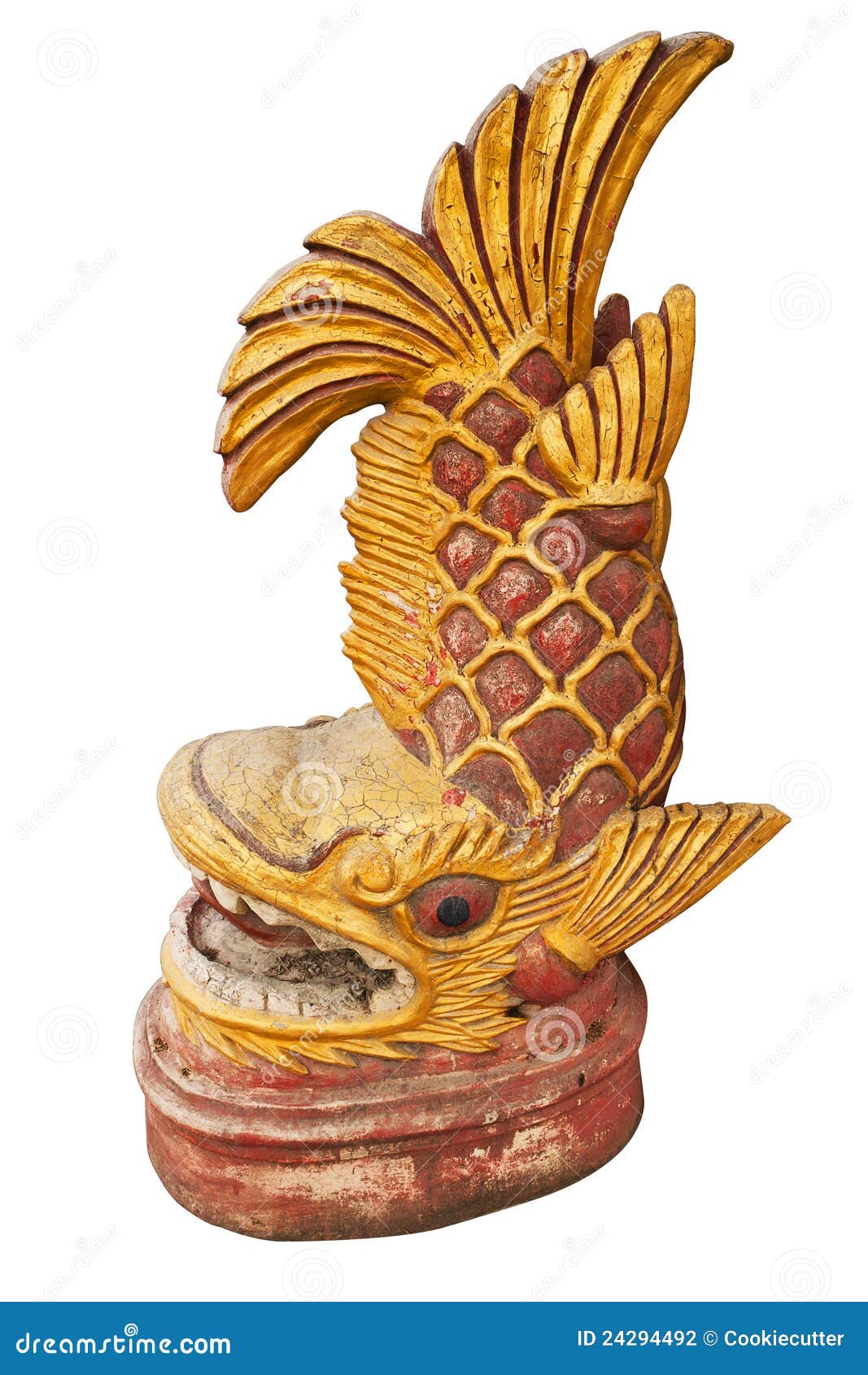 Fish of lucky stock photo. Image of isolate, lucky, sacred - 24294492