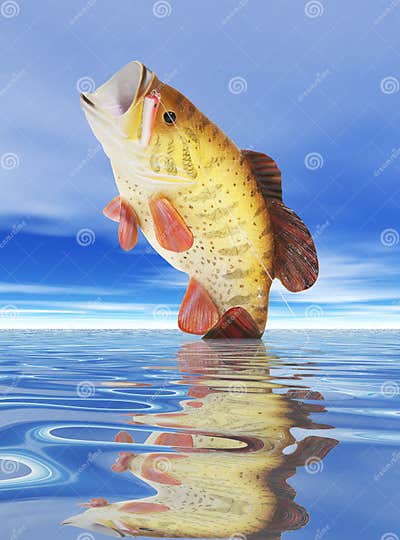 Fish on Lure stock image. Image of fishing, plummet, bound - 1405891