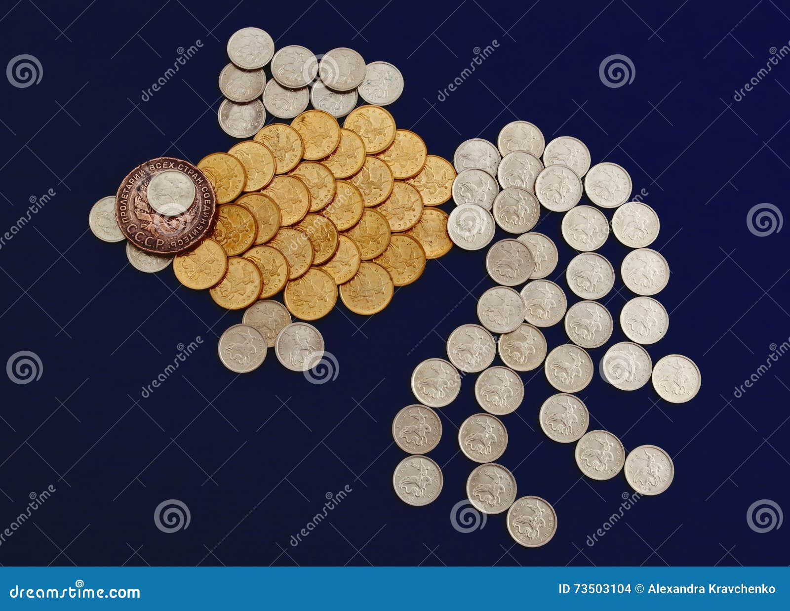 Fish made of coins stock photo. Image of brown, gold - 73503104