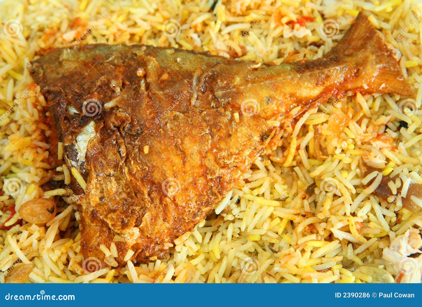 Fish majboos 1 stock photo. Image of tasty, saffron, meal - 2390286