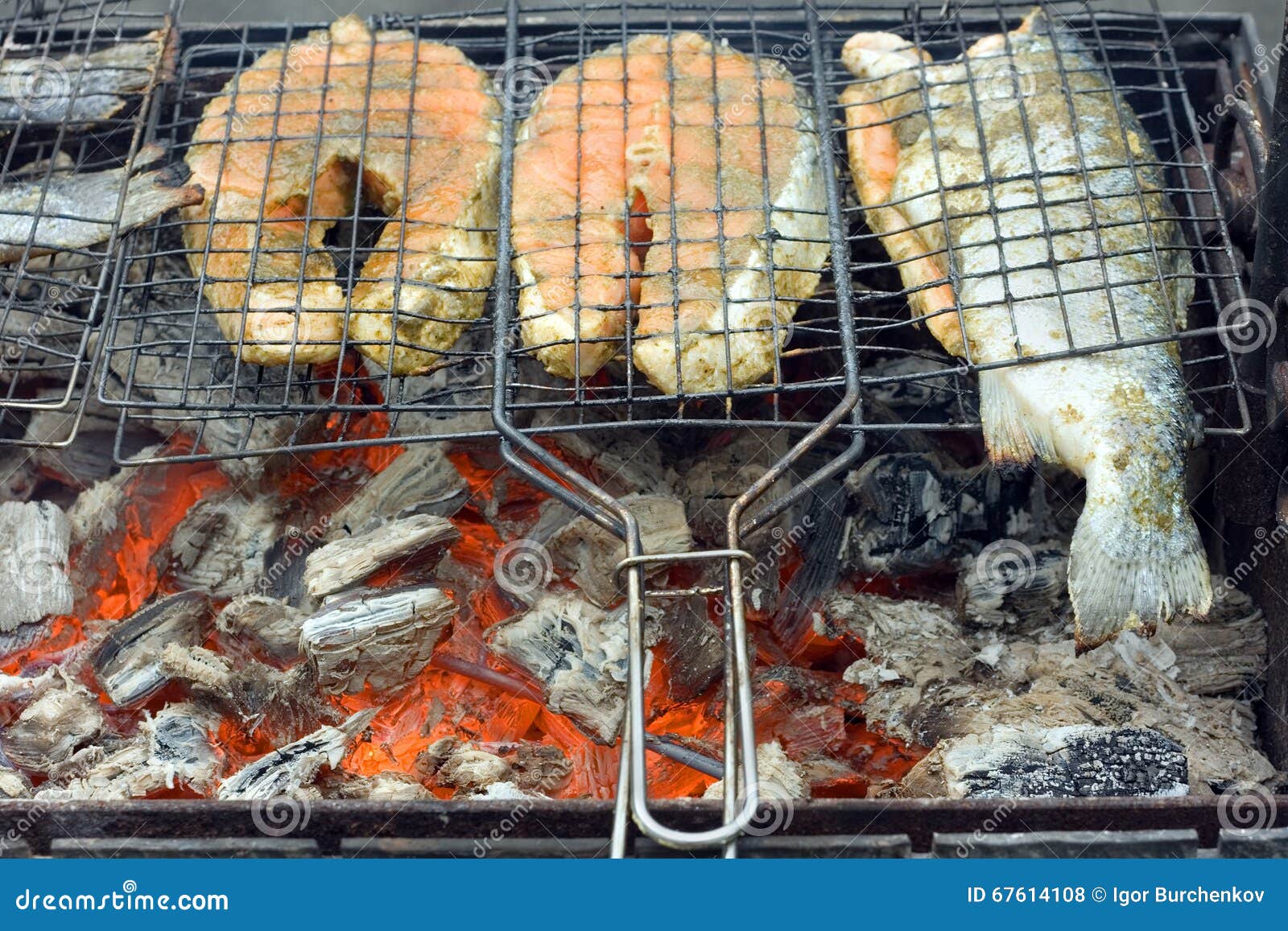 Fish on a mangal stock photo. Image of cook, leisure - 67614108