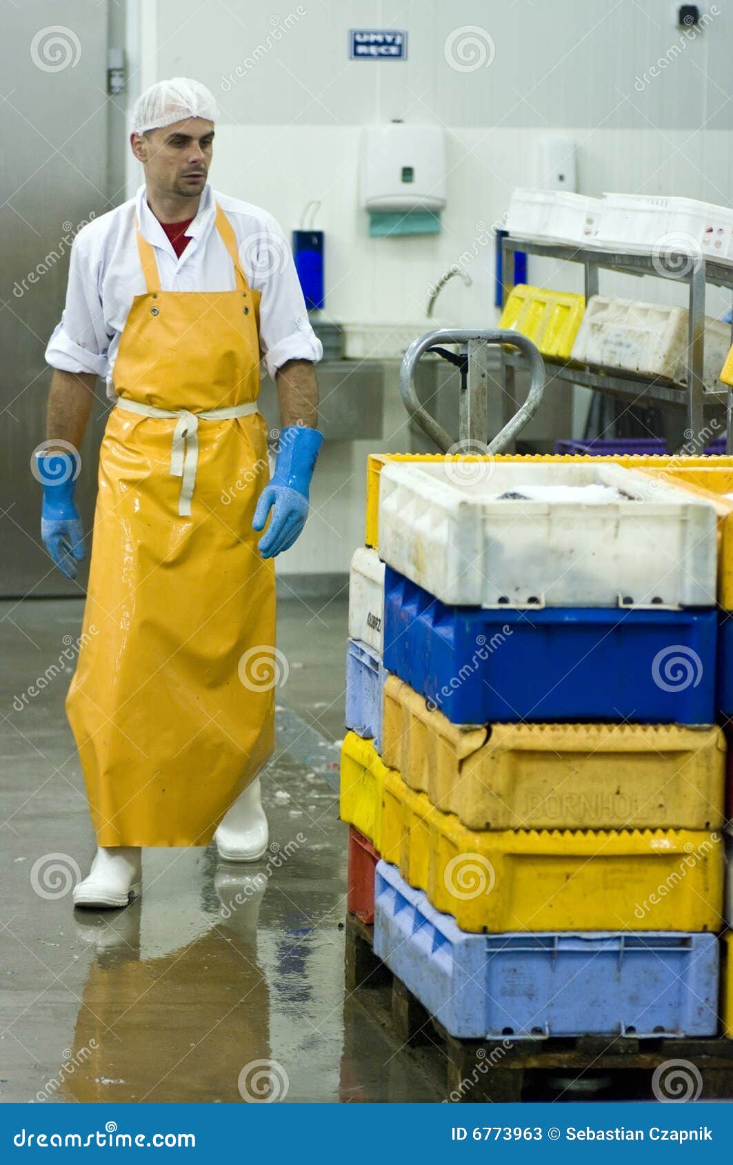Fish manufacture worker stock image. Image of firm, cutting - 6773963