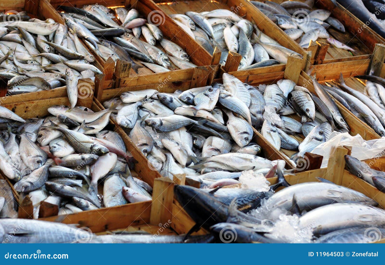 Fish Market stock image. Image of frozen, fishing, dover - 11964503