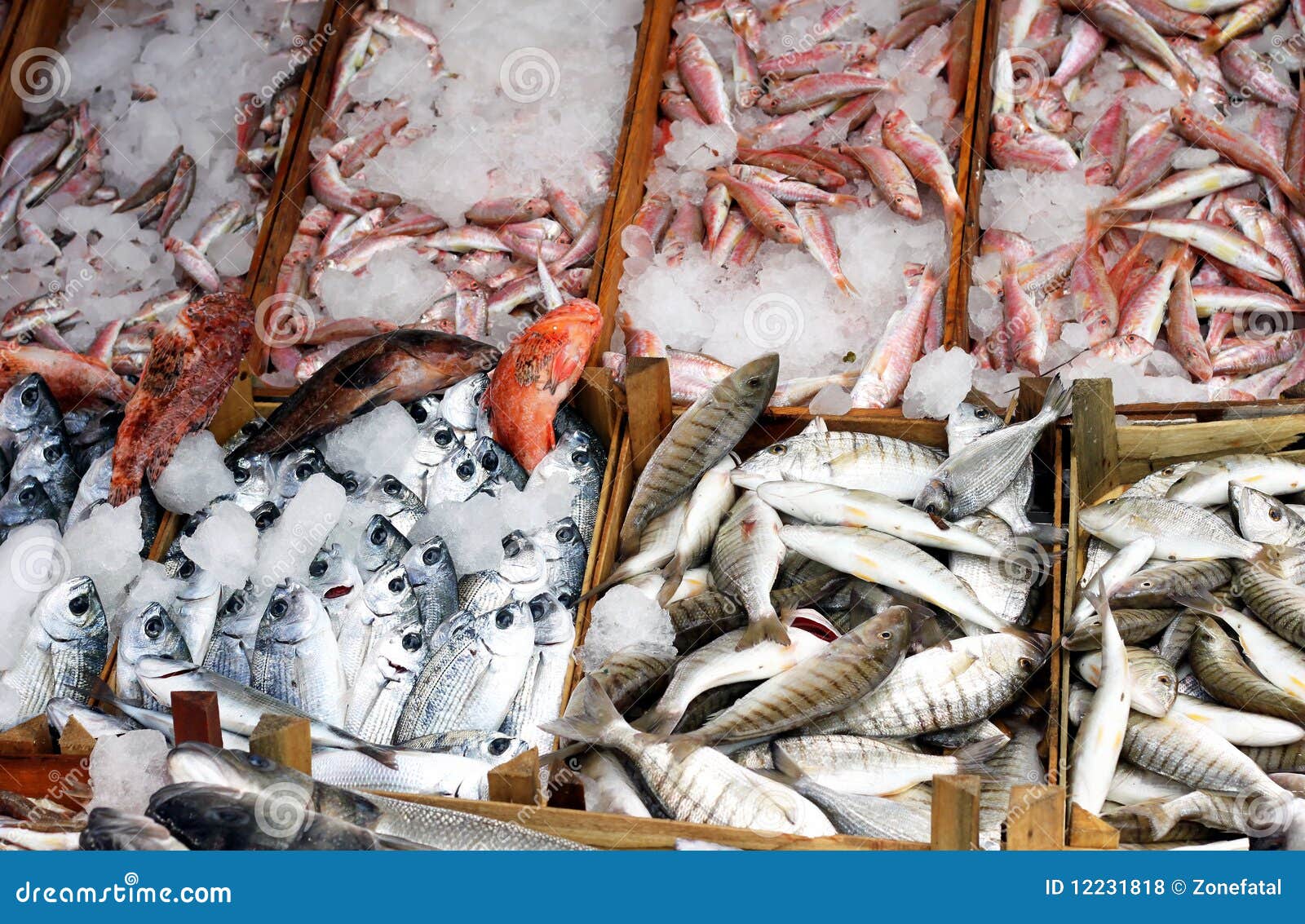 Fish Market stock photo. Image of cooling, cuisine, grocery - 12231818
