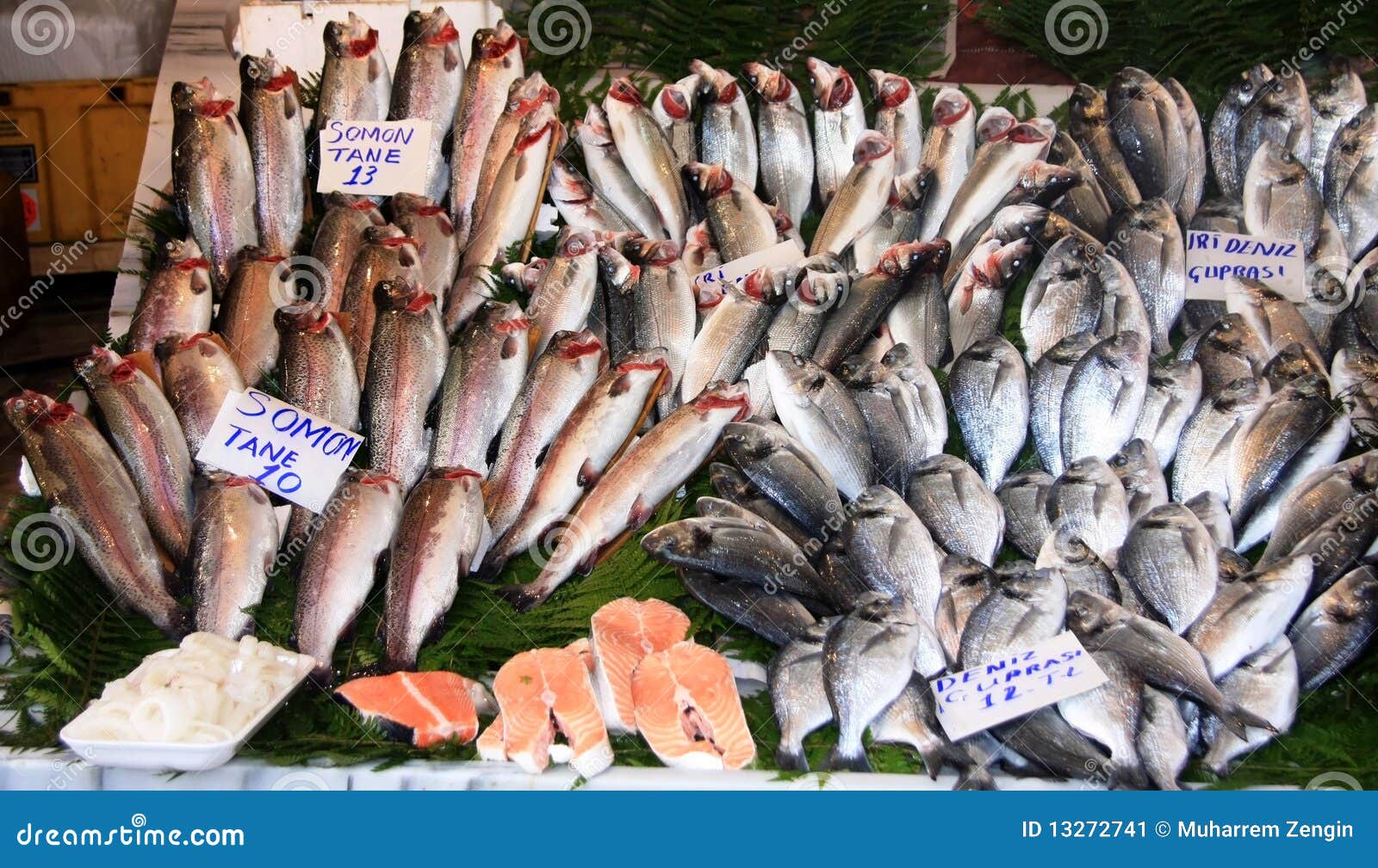 Fish Market stock image. Image of cool, fish, seafood - 13272741