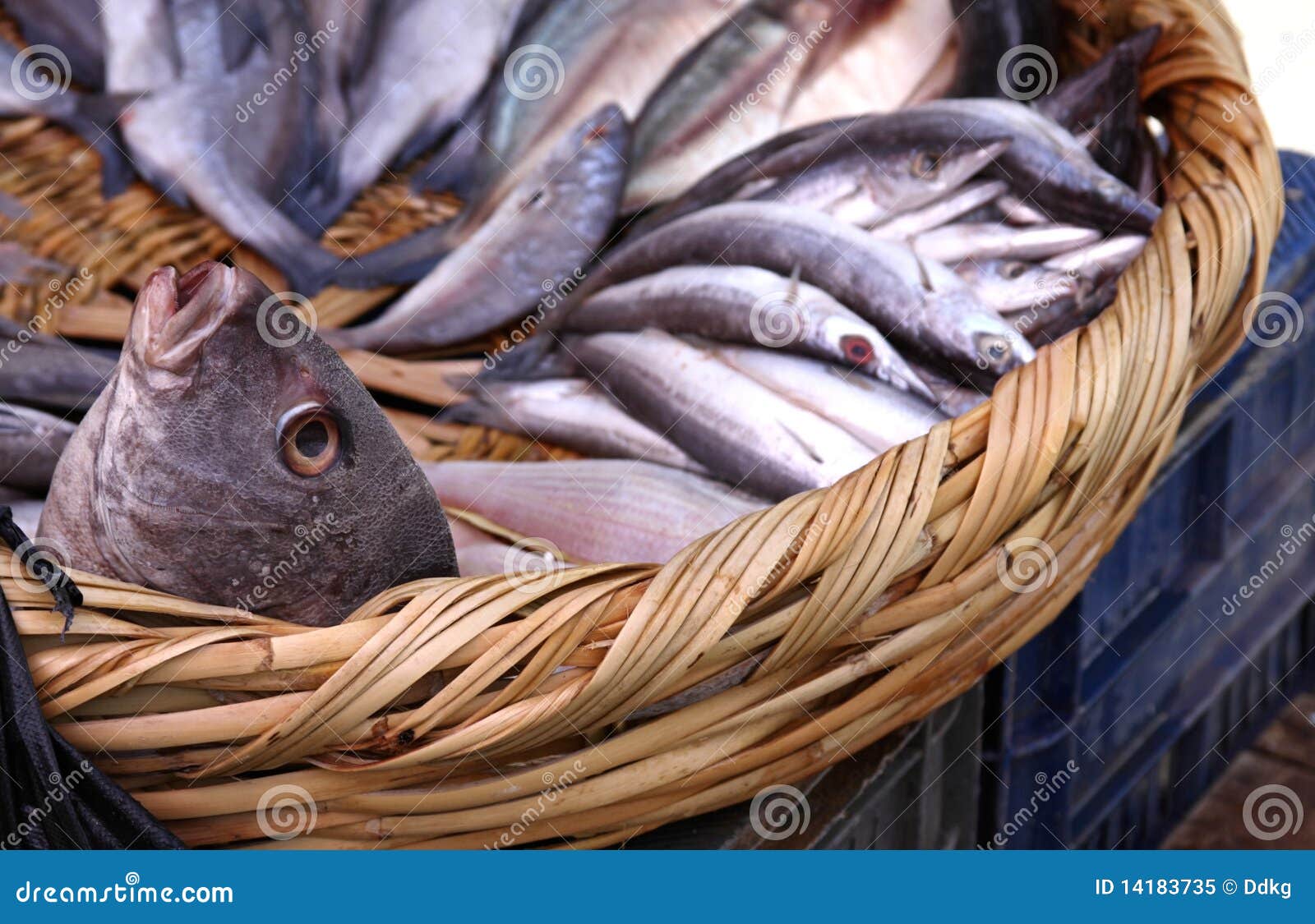 Fish at the Market stock image. Image of scales, fishing - 14183735