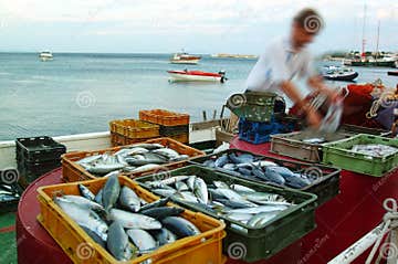 Fish market stock photo. Image of fish, mackerel, protein - 1458242