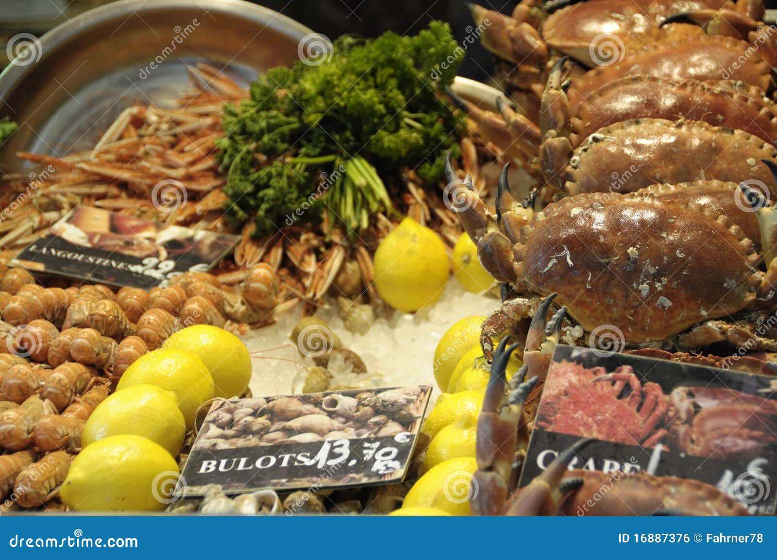 Fish market stock photo. Image of delicious, shell, fresh - 16887376