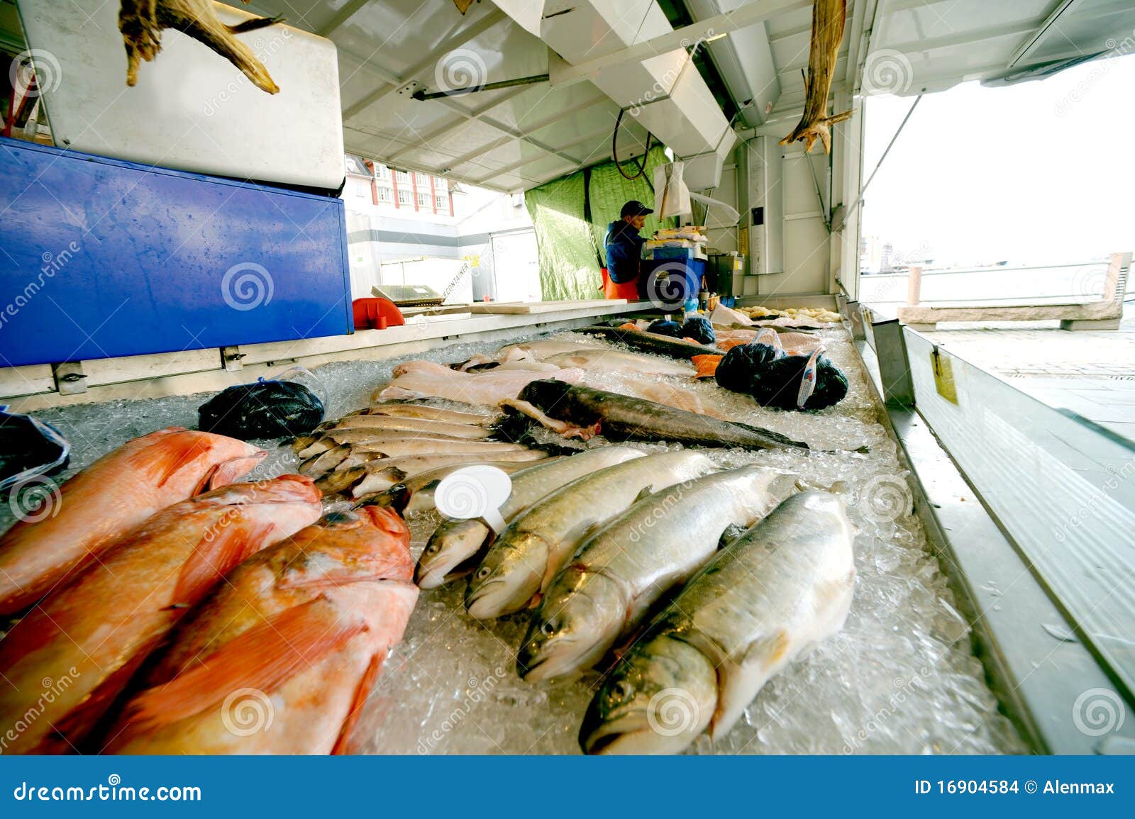 The fish market editorial stock image. Image of city - 16904584