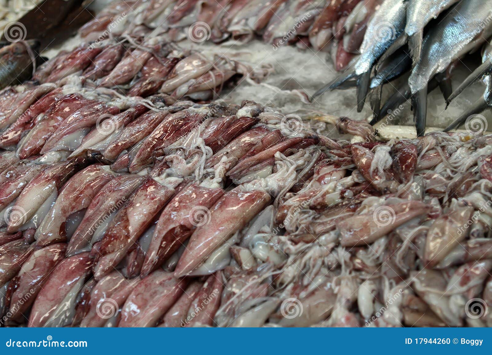 Fish market stock photo. Image of freshness, ingredient - 17944260