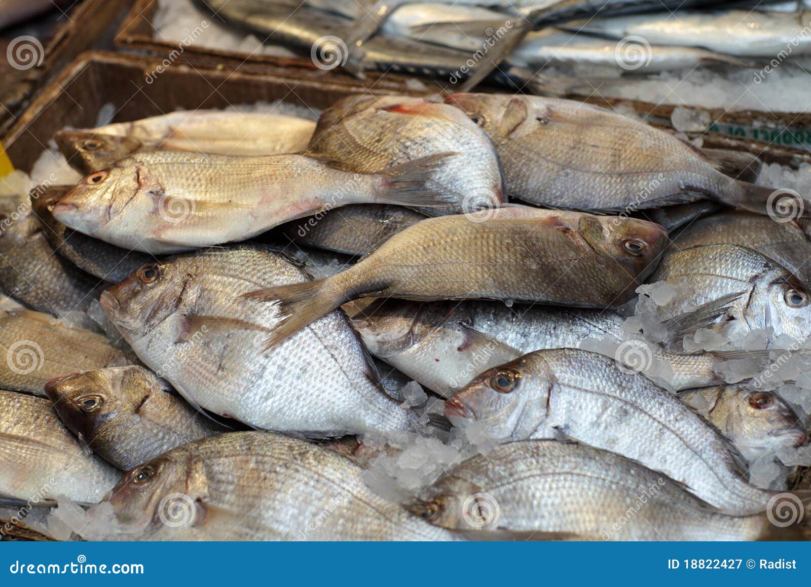 Fish in market stock image. Image of sale, shop, healthy - 18822427